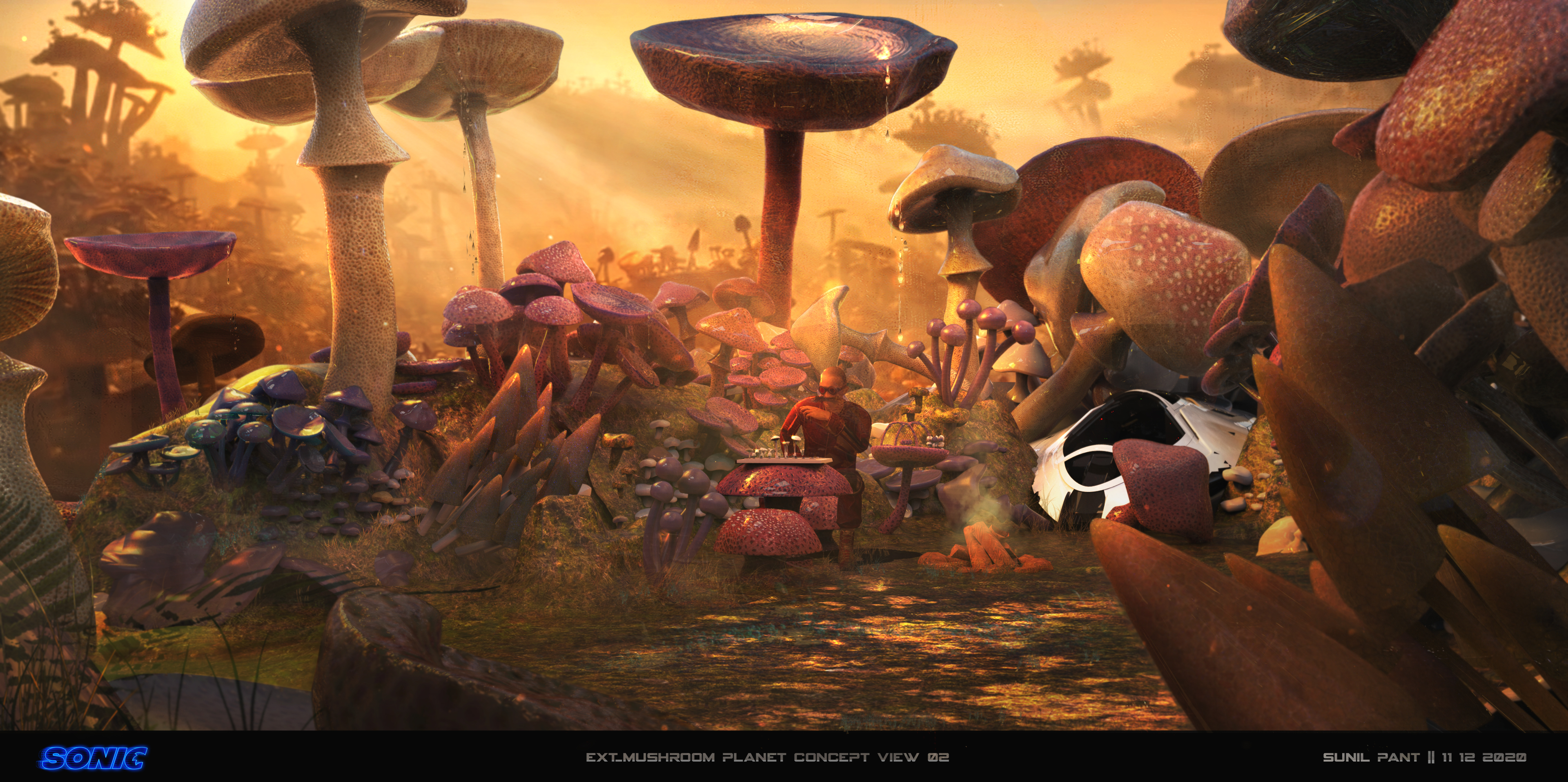 SONIC 2 - SUNIL PANT DESIGN INC.