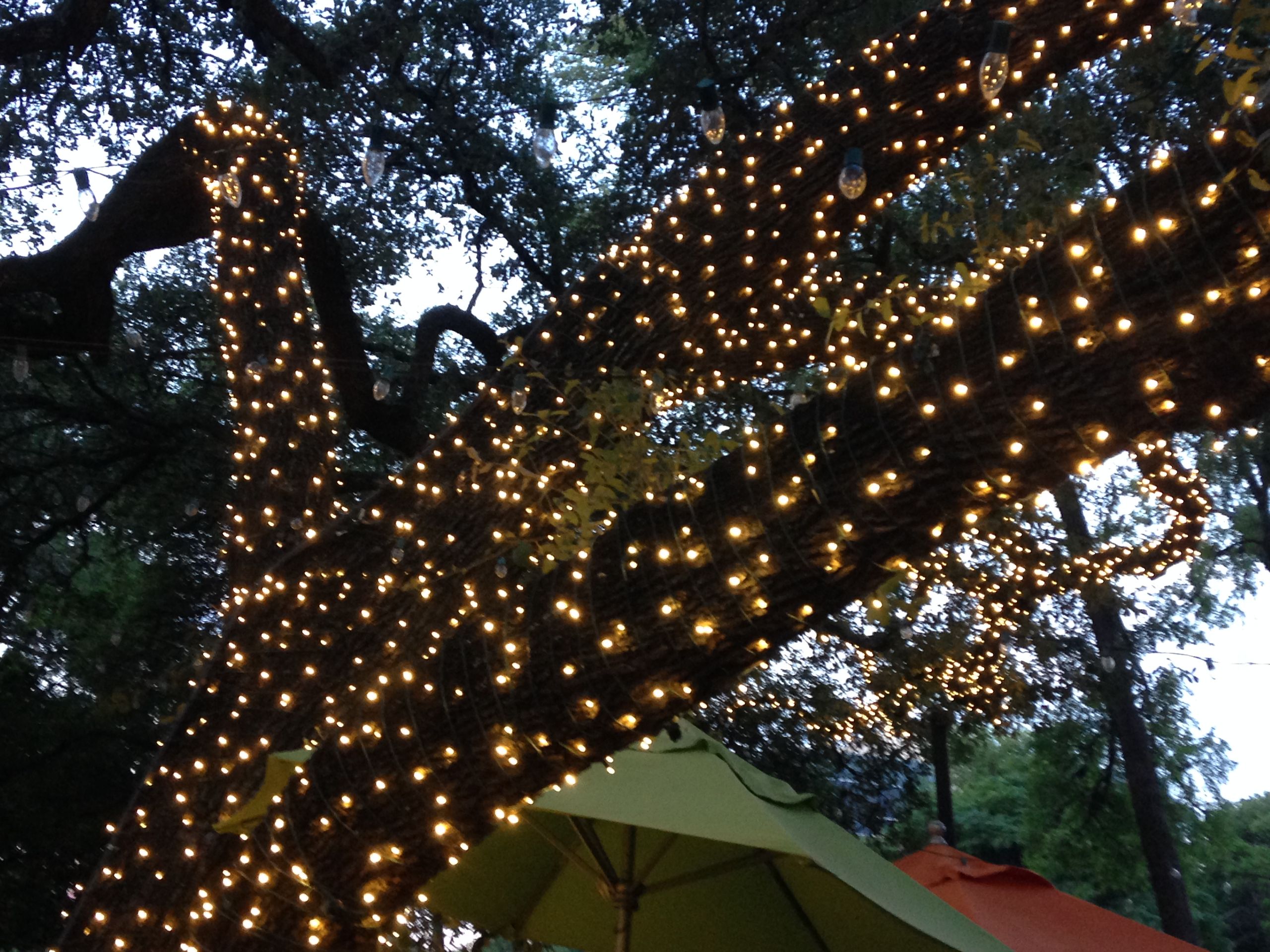 The Grove - Tom Kirsch Design