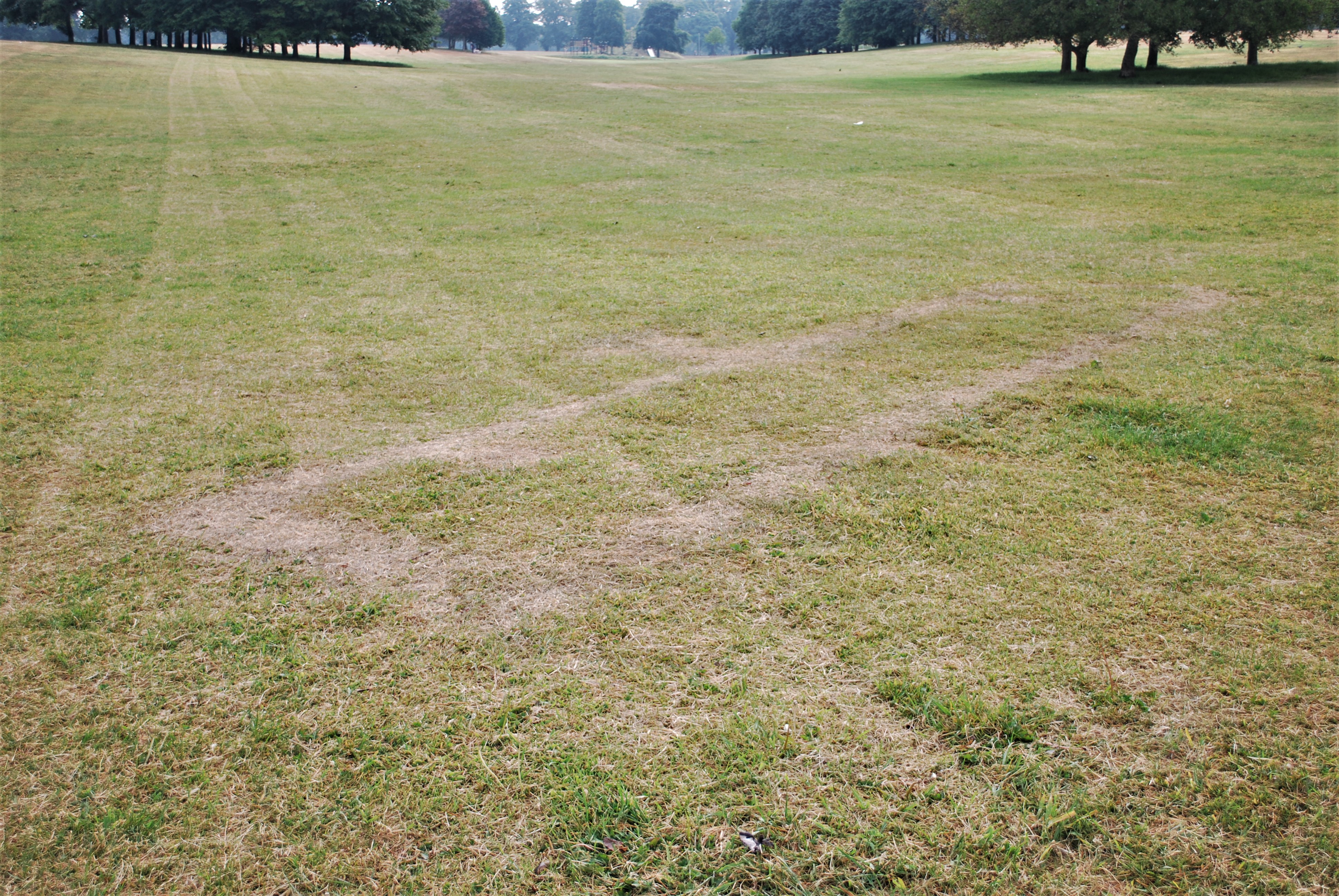 Log #traces - Jonathan Alibone