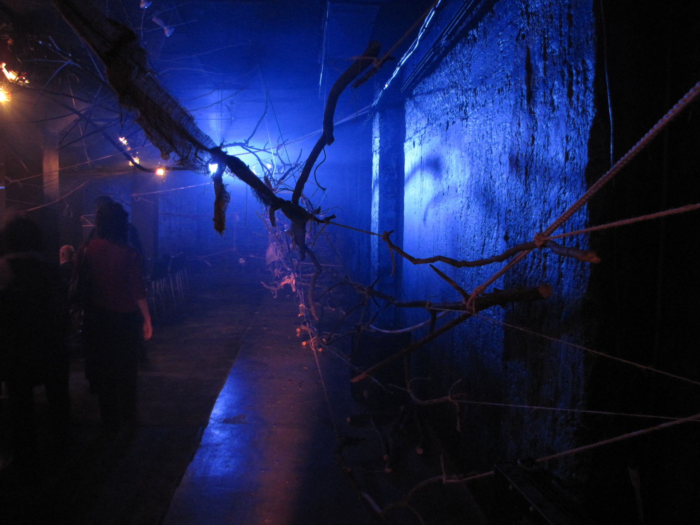 Coriolanus - Theater and Nature