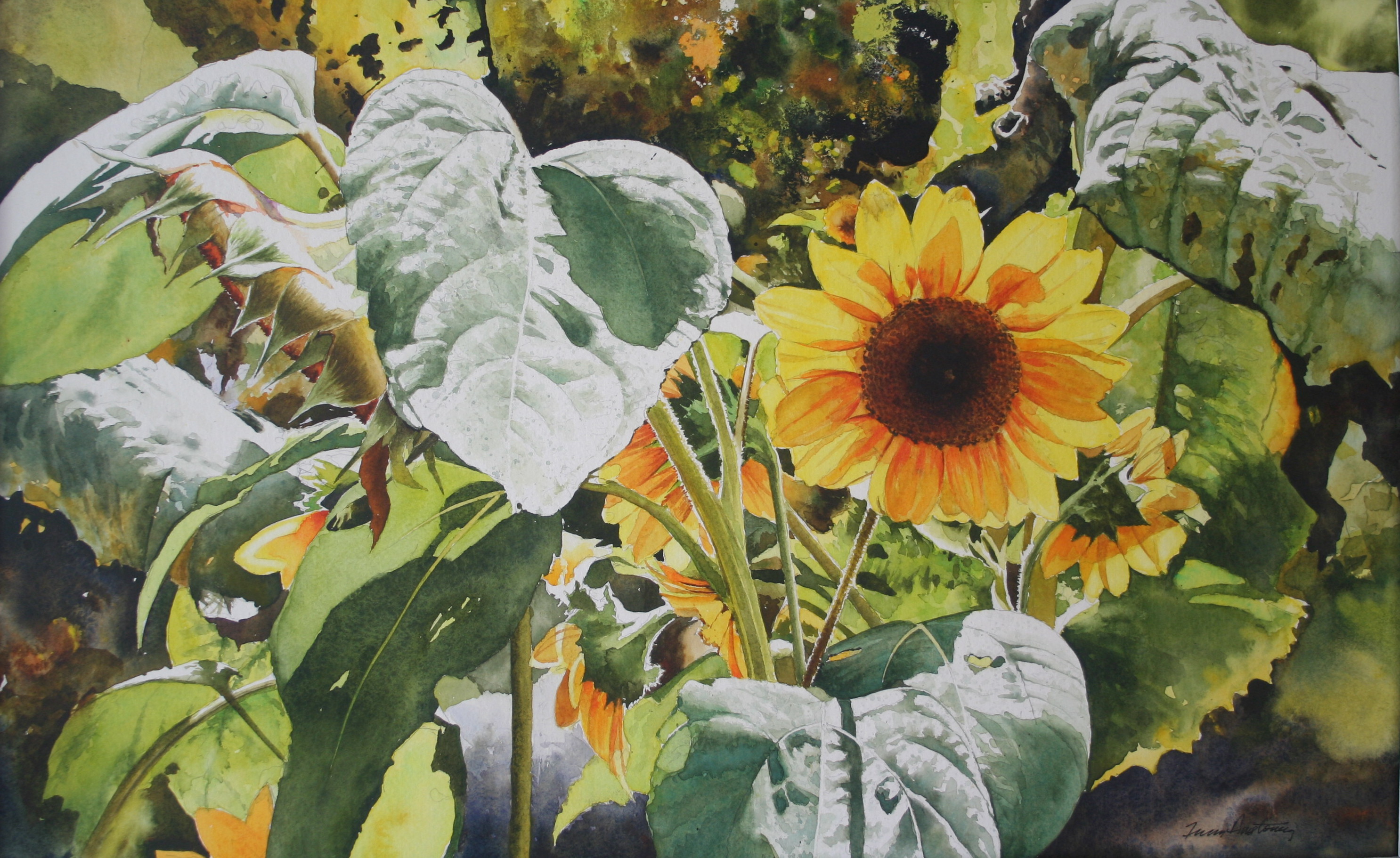 Terry Armstrong - Castle Gallery Fine Art
