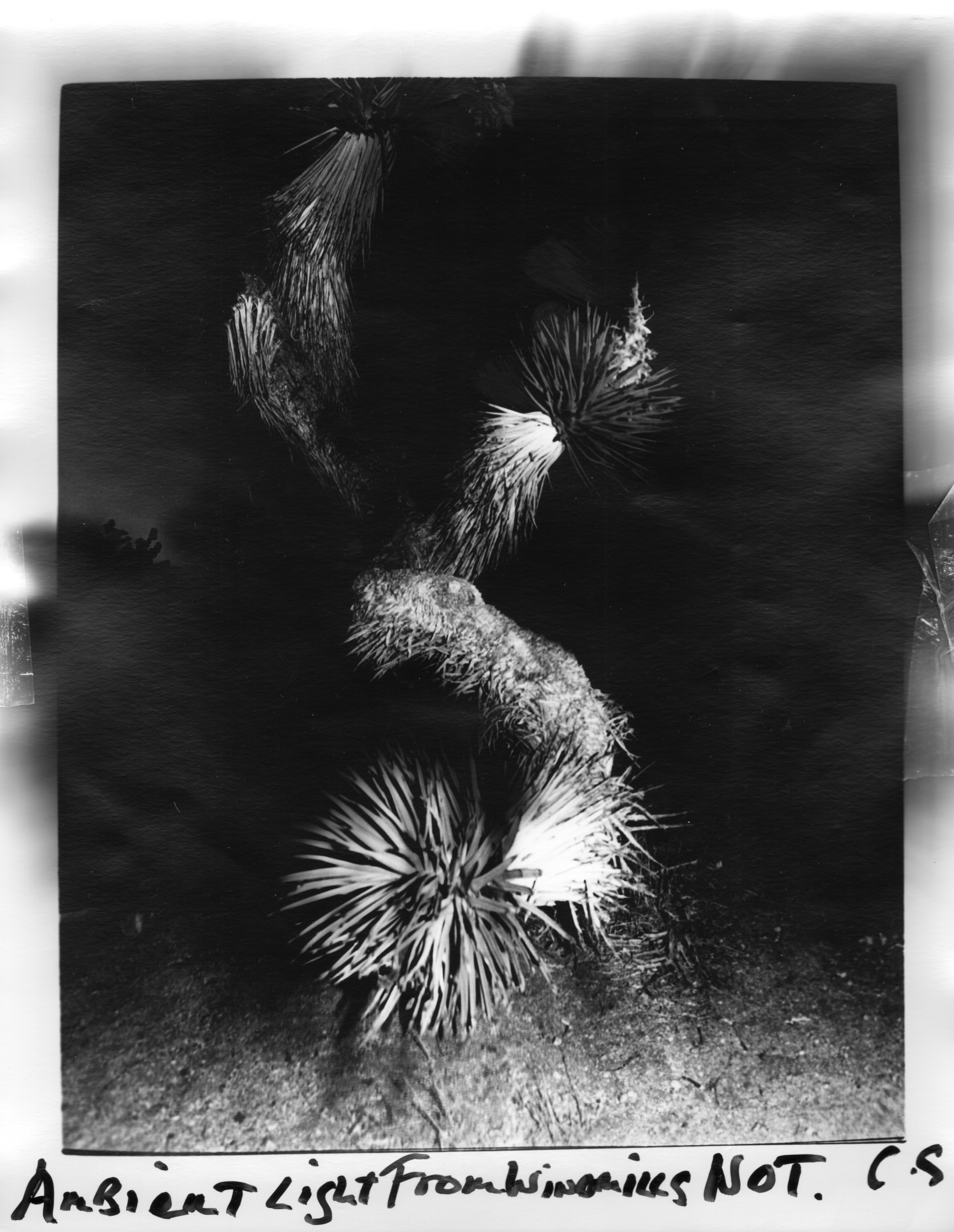 horizon icons - chris shaw photographer