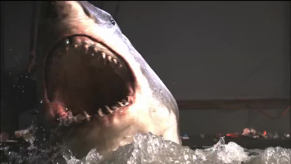 film vfx - chris breeze