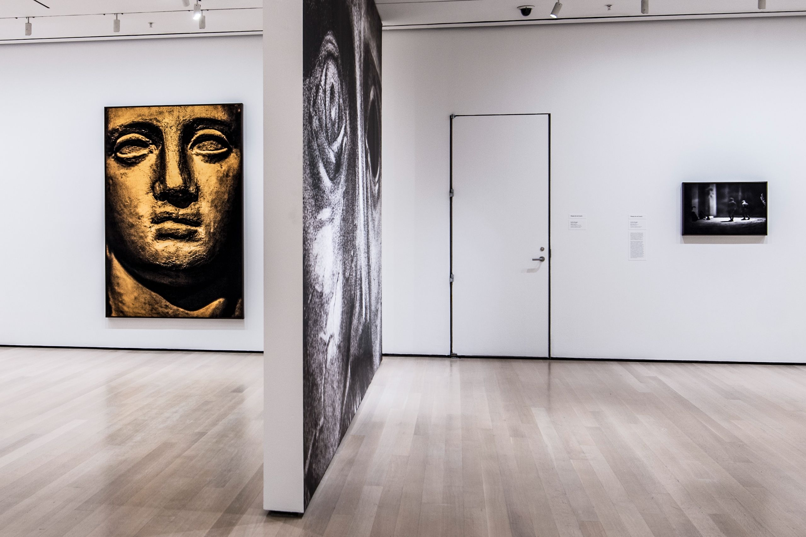 The New Photography 2018 | MoMA - SOFIA BORGES