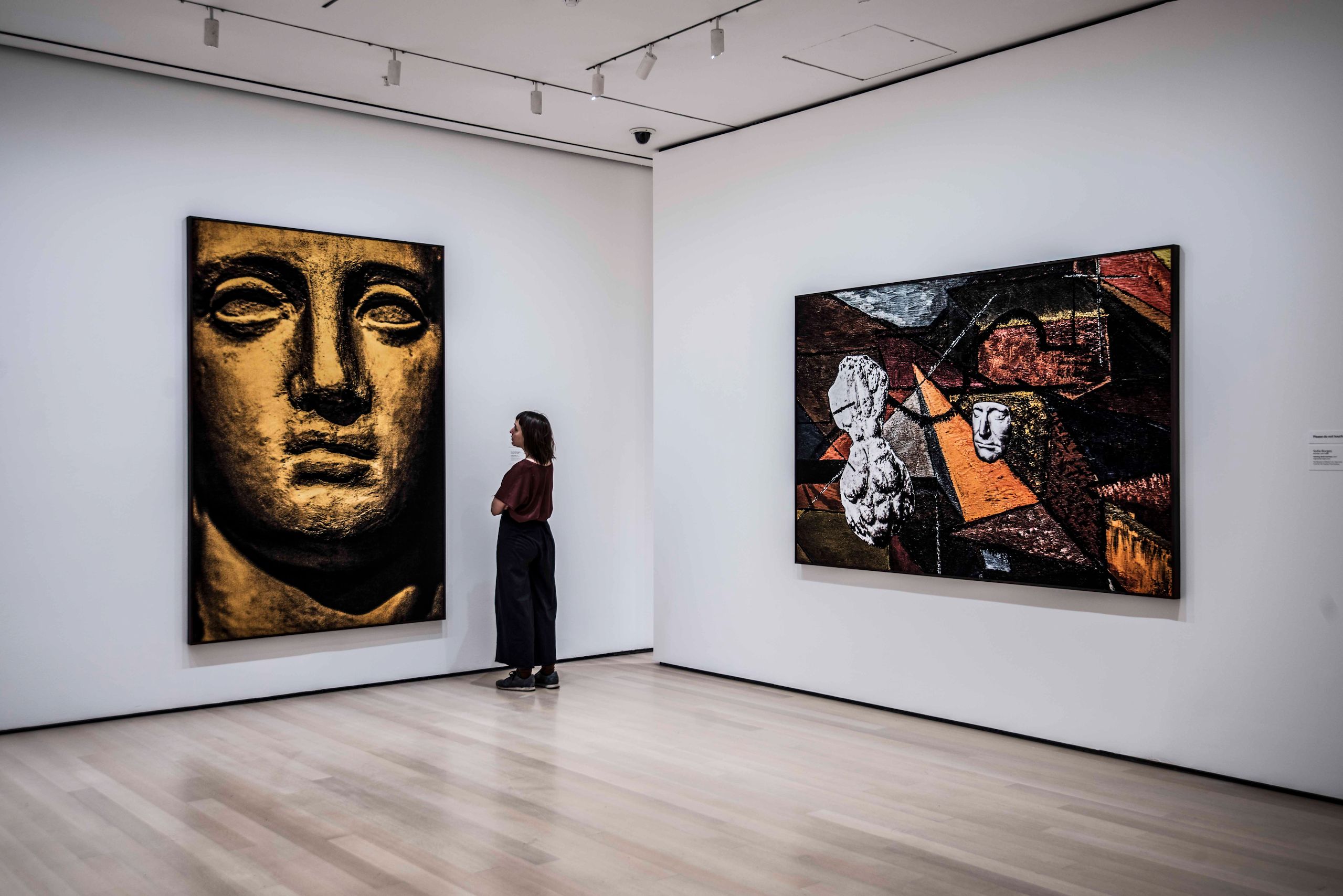 The New Photography 2018 | MoMA - SOFIA BORGES