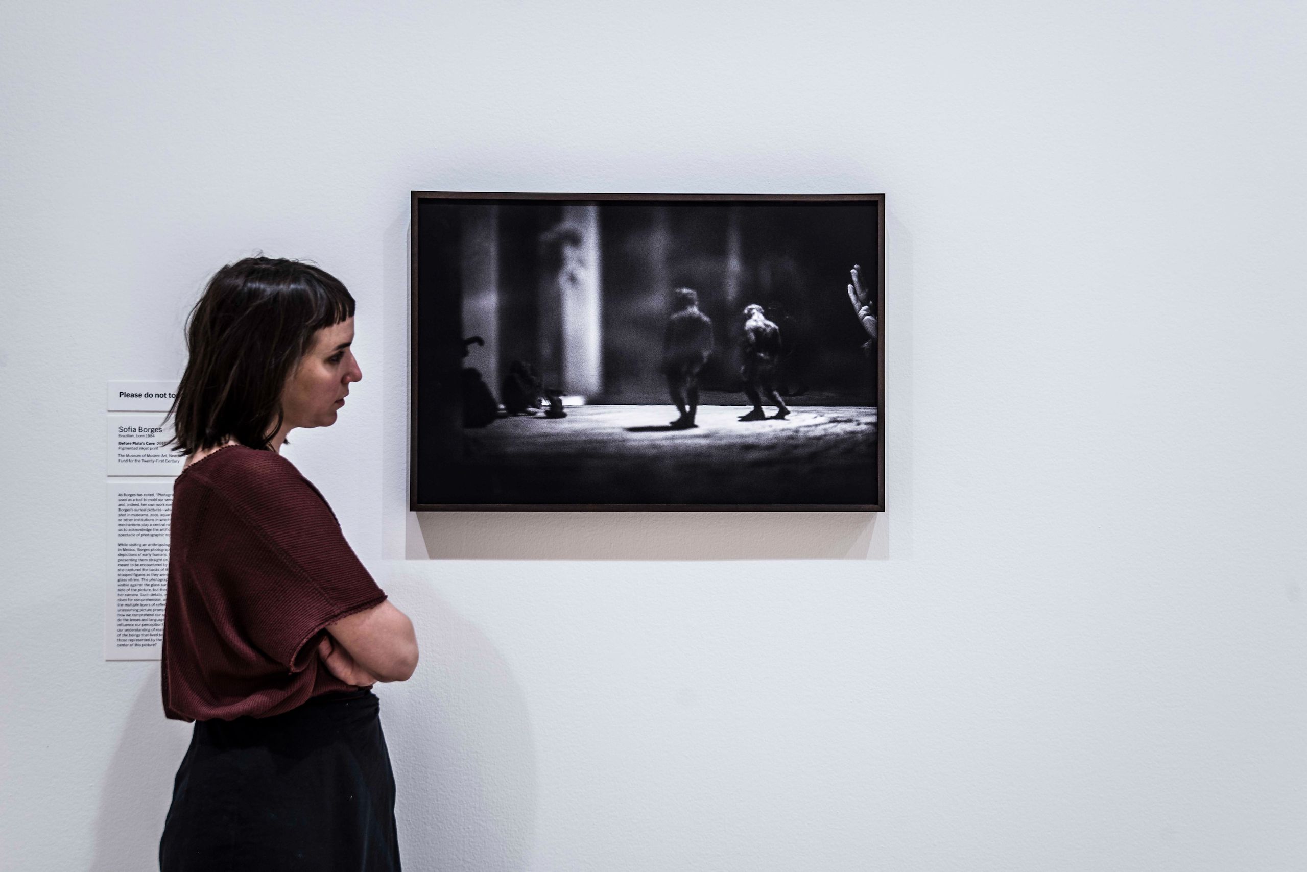 The New Photography 2018 | MoMA - SOFIA BORGES