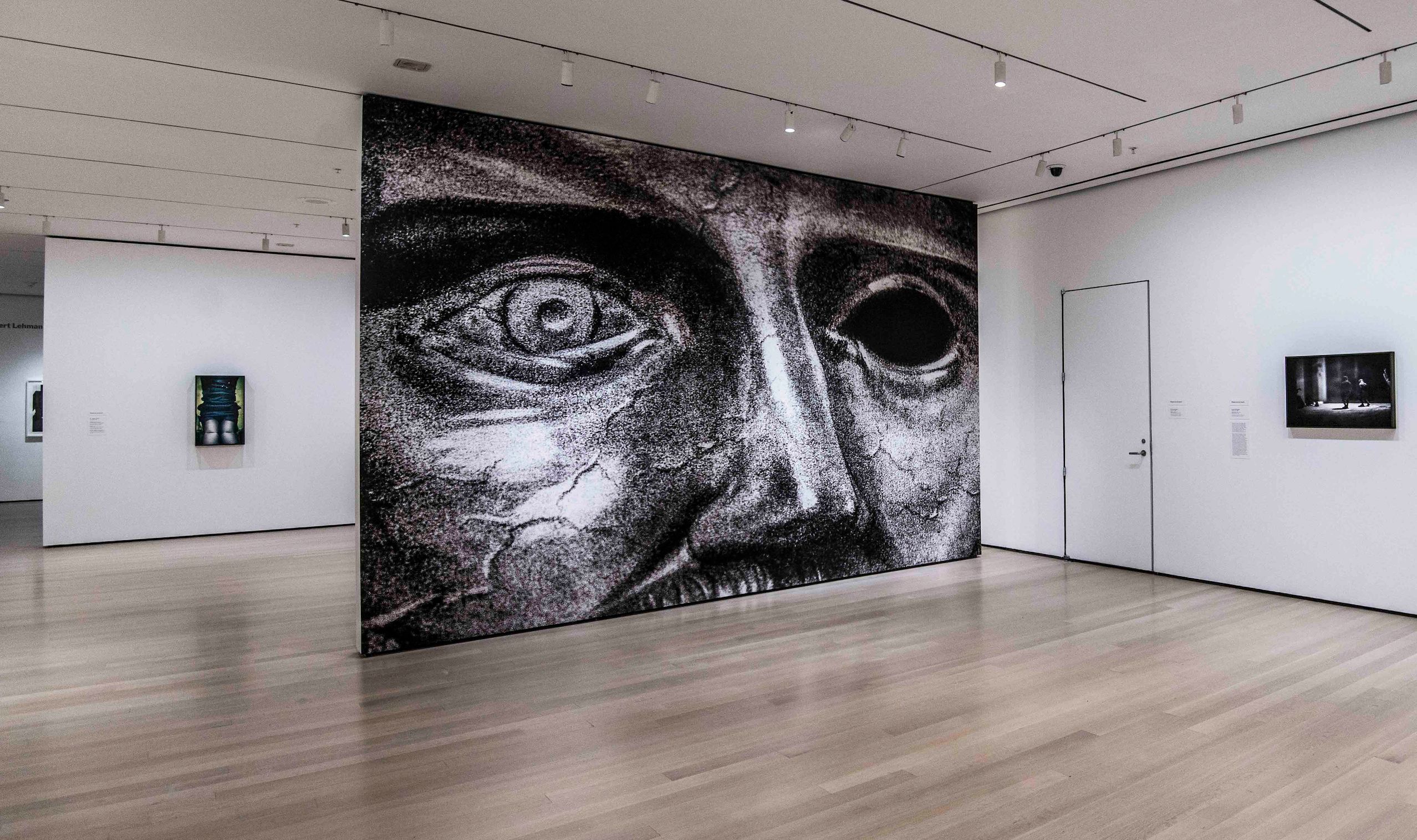 The New Photography 2018 | MoMA - SOFIA BORGES