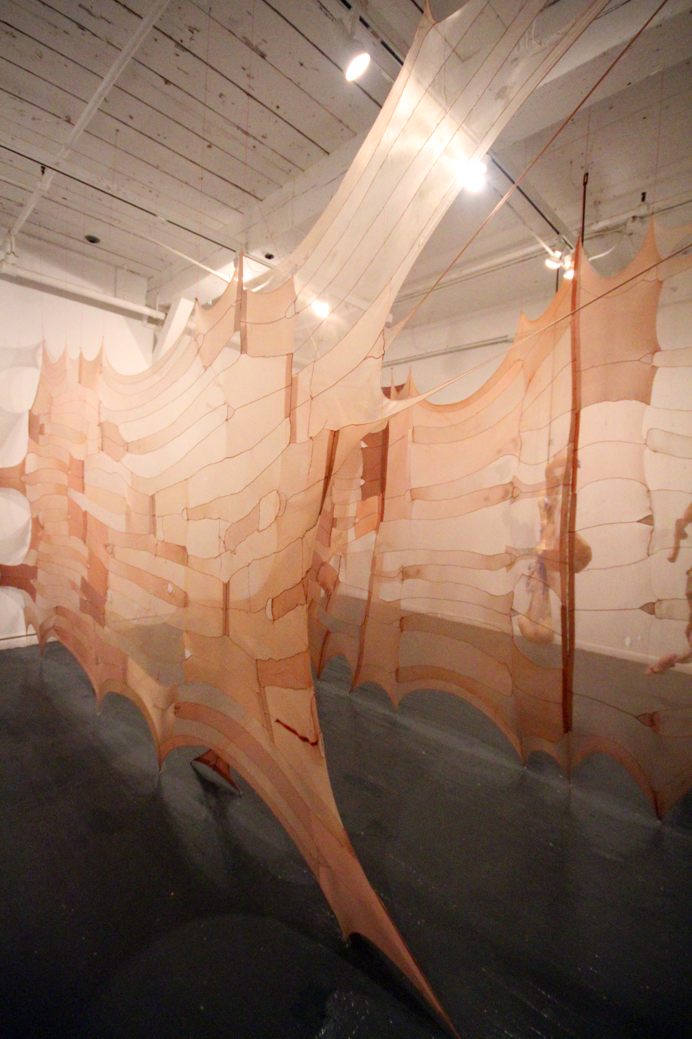 Gymnophobia - Sheena Rae Dowling