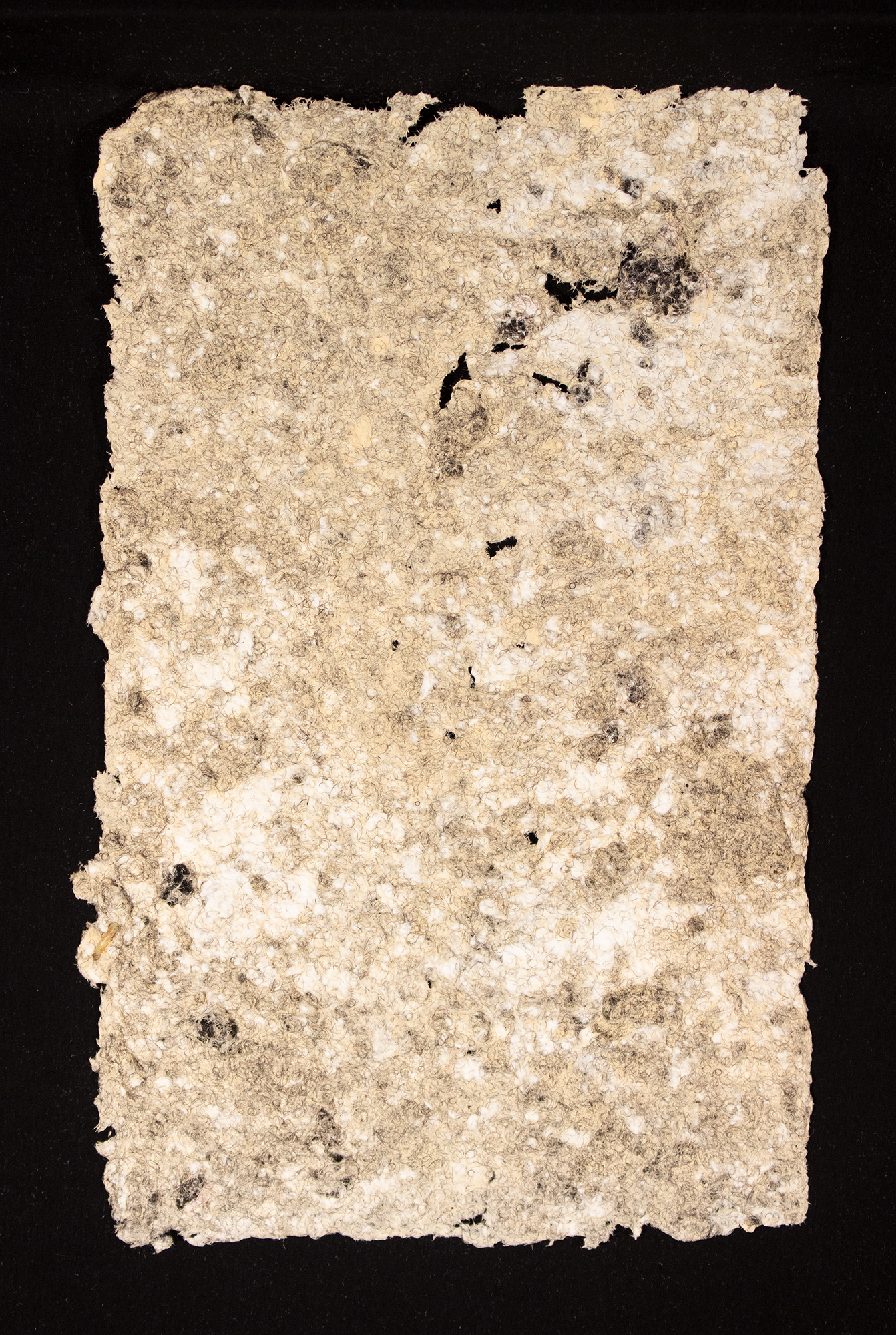 History Papers I - AGS