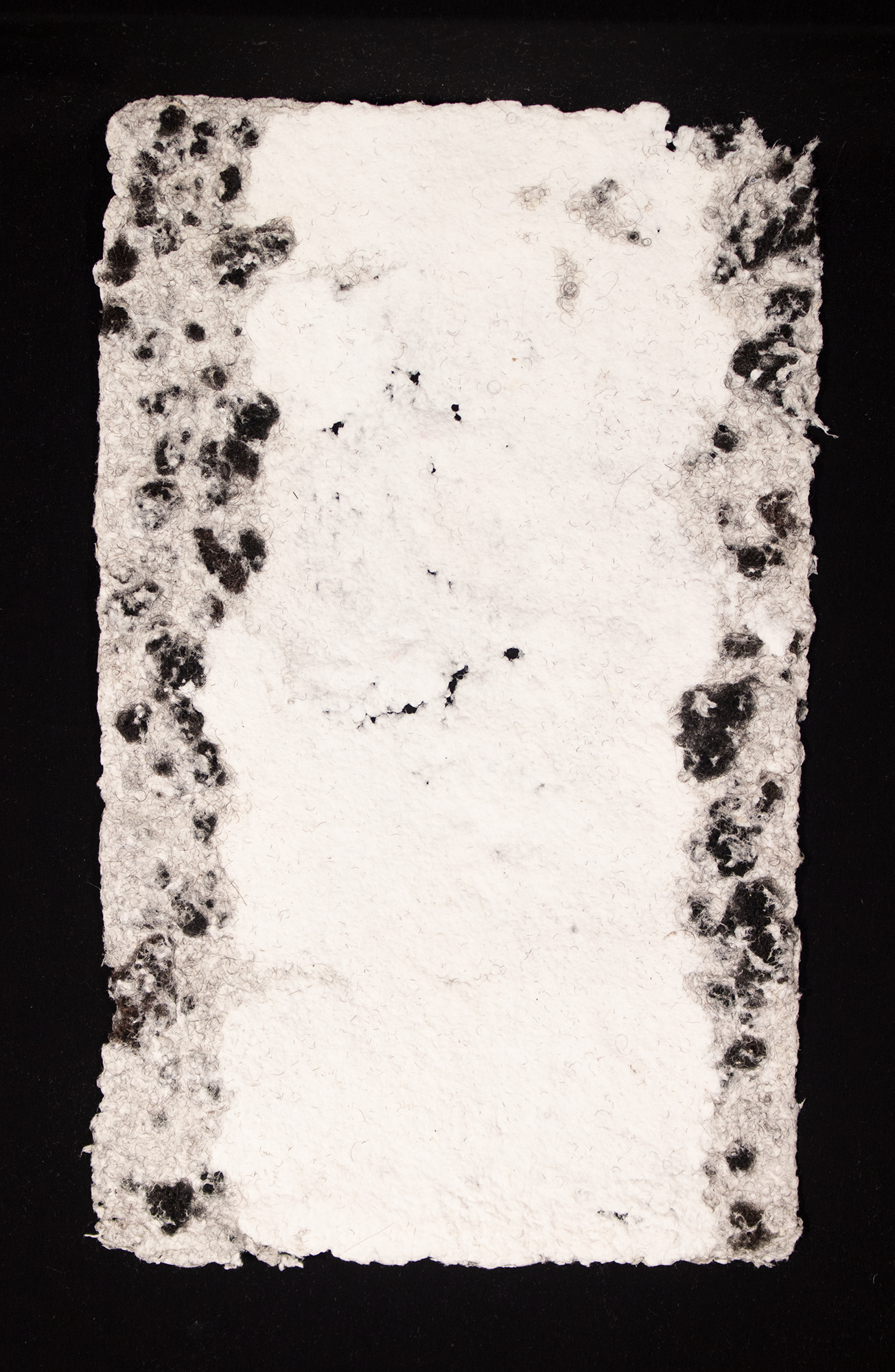 History Papers I - AGS