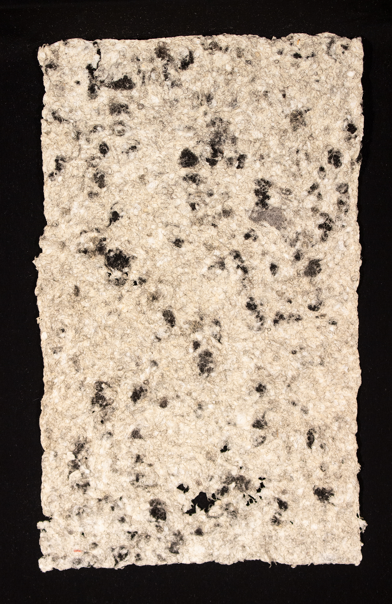 History Papers I - AGS