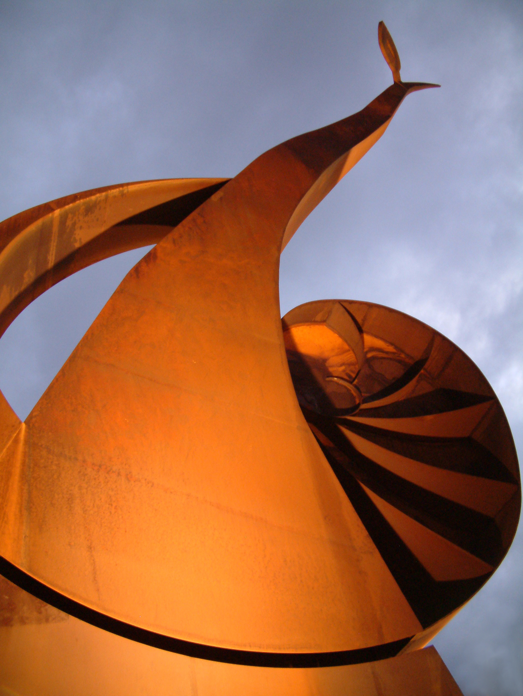 Shirley Shell - Coral Lowry