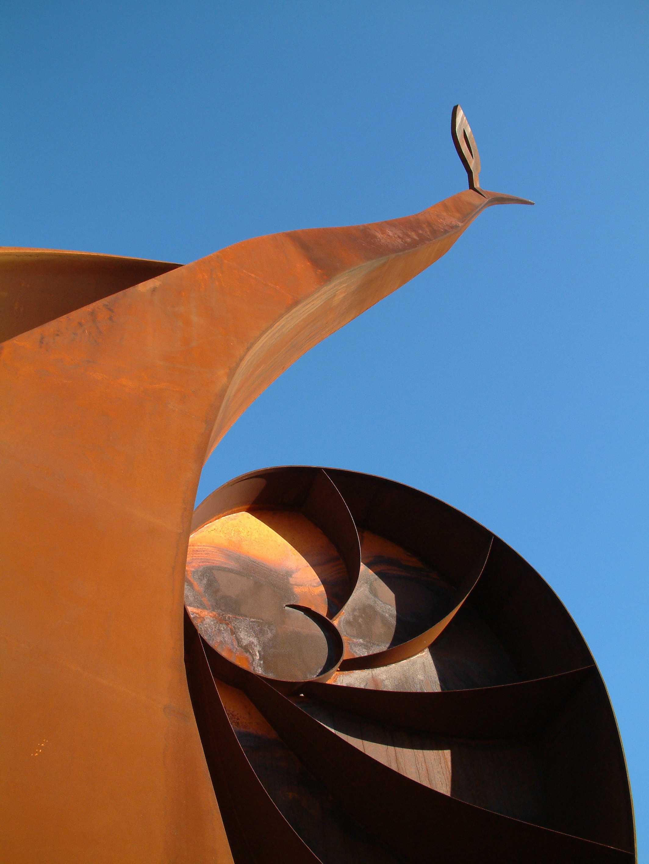 Shirley Shell - Coral Lowry