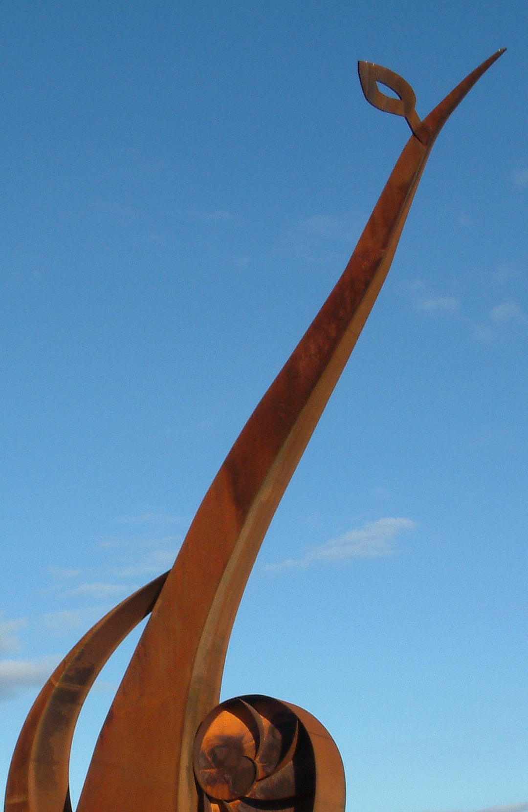 Shirley Shell - Coral Lowry