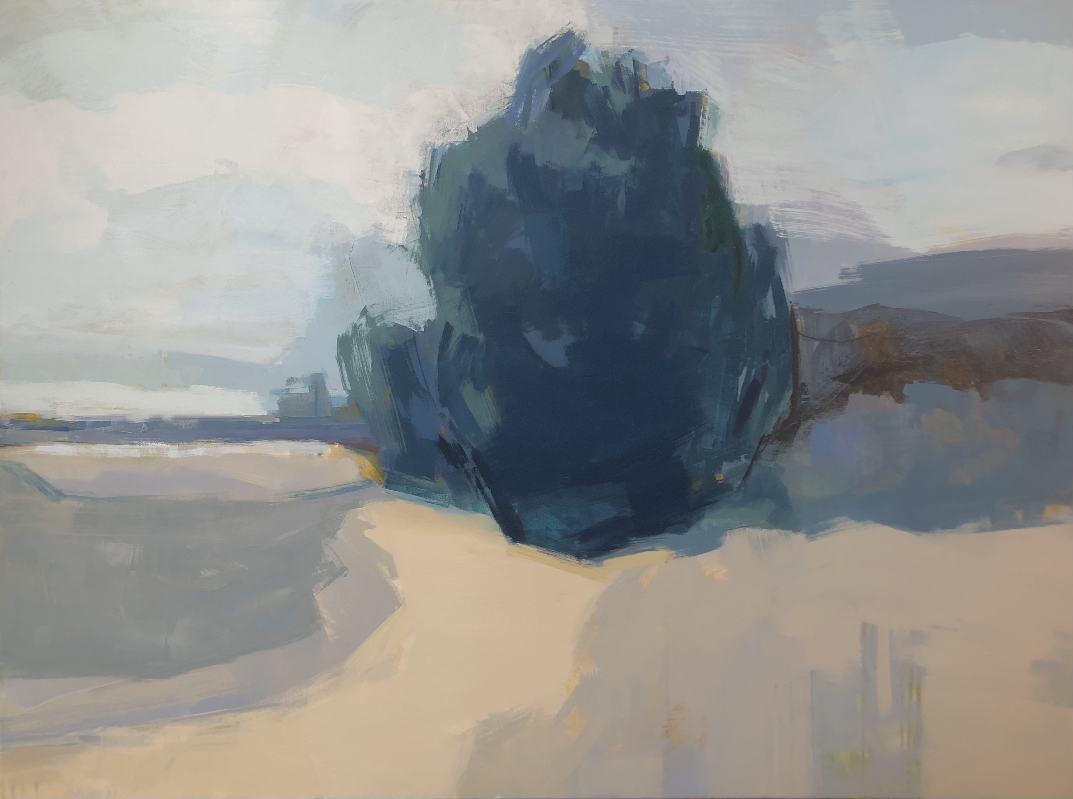 Abstracts + Landscapes - Susan Ahearn