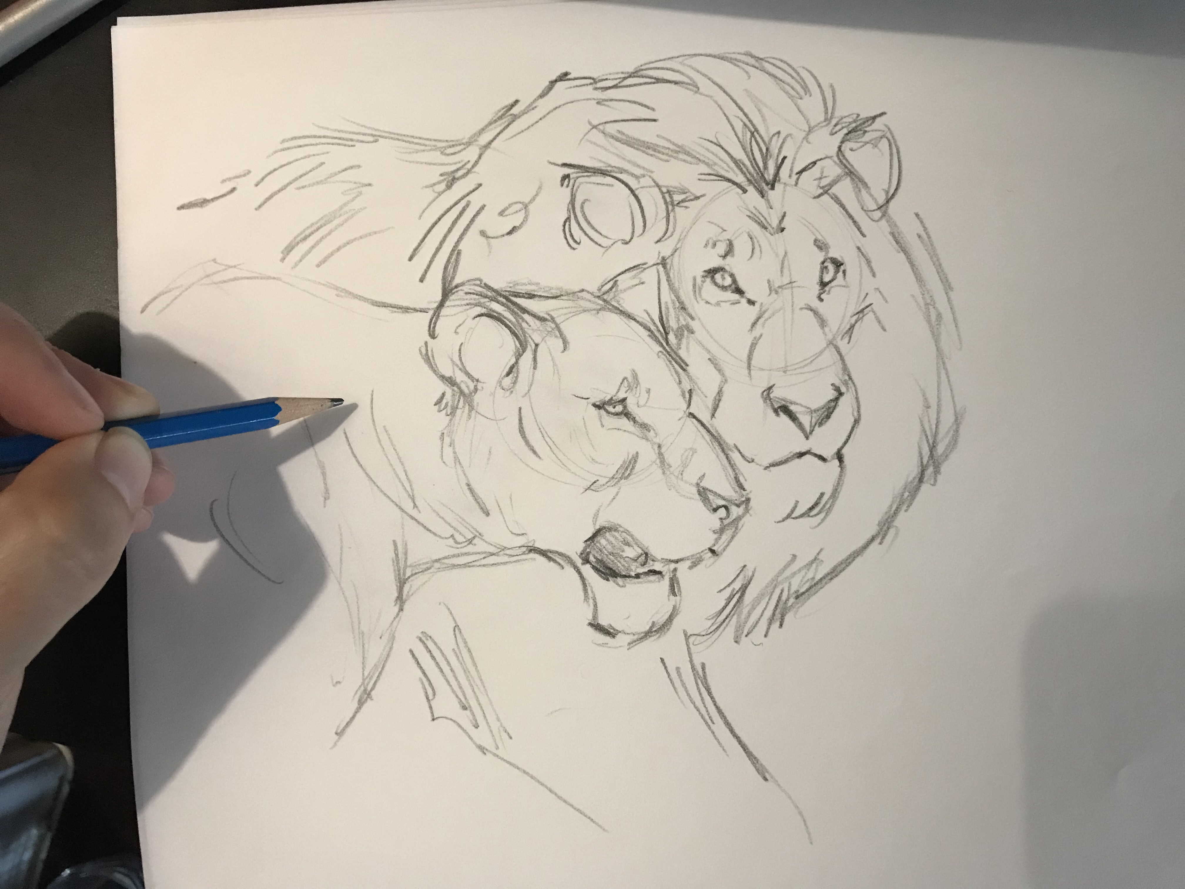 The LION KING - Angelo Libutti – Director - Head of Story -Writer