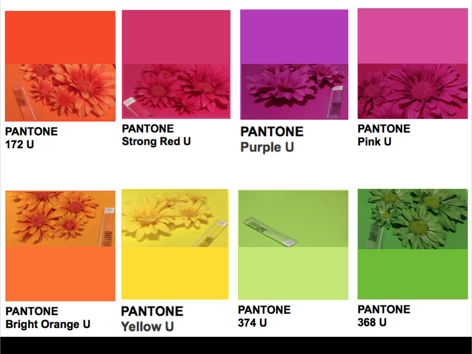 Pantone 374