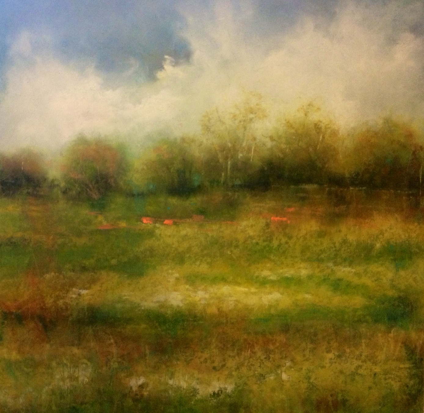 Landscapes - Sally Sharp Fine Art