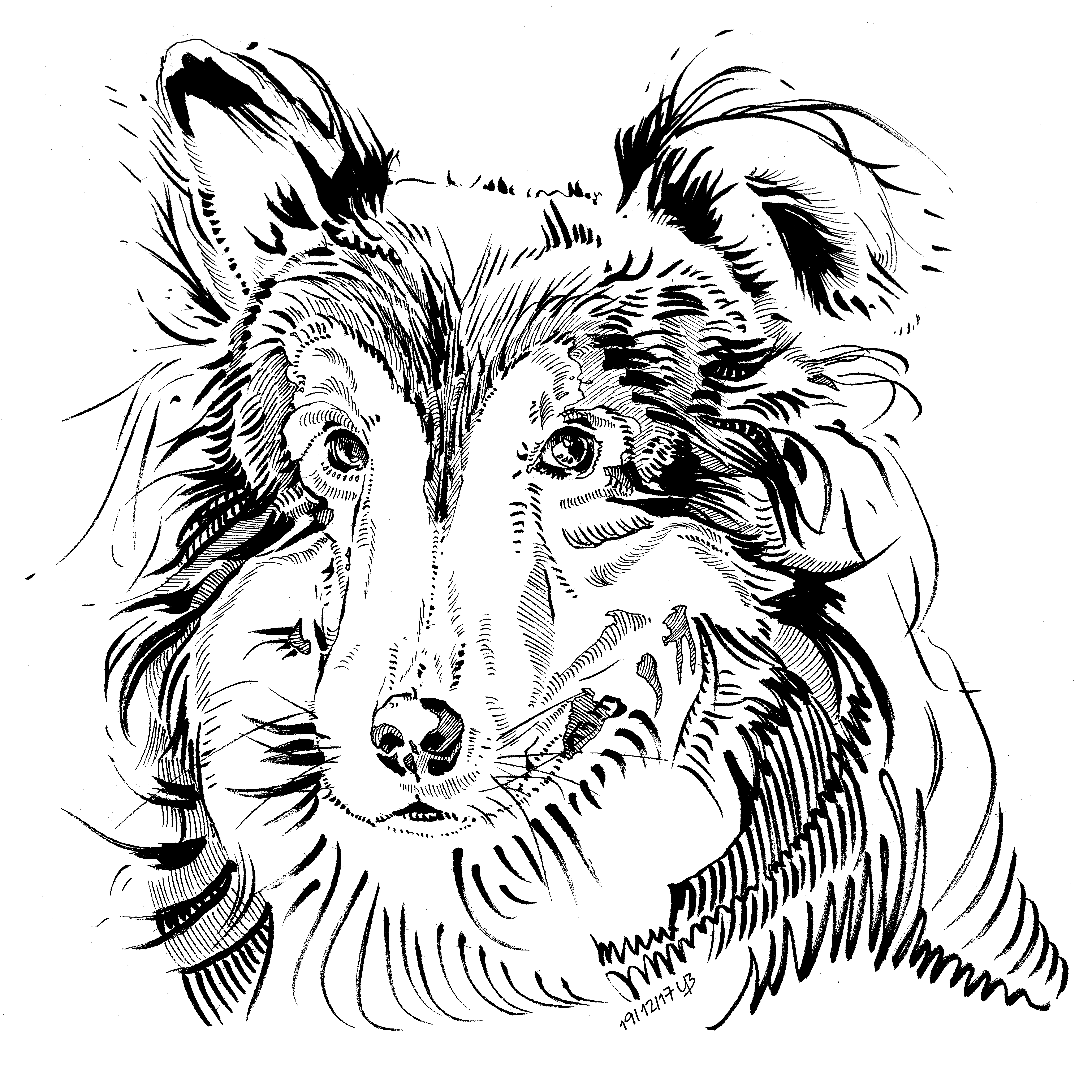 Study Of Dogs Yeonbun Study Of Dogs Yeonbun