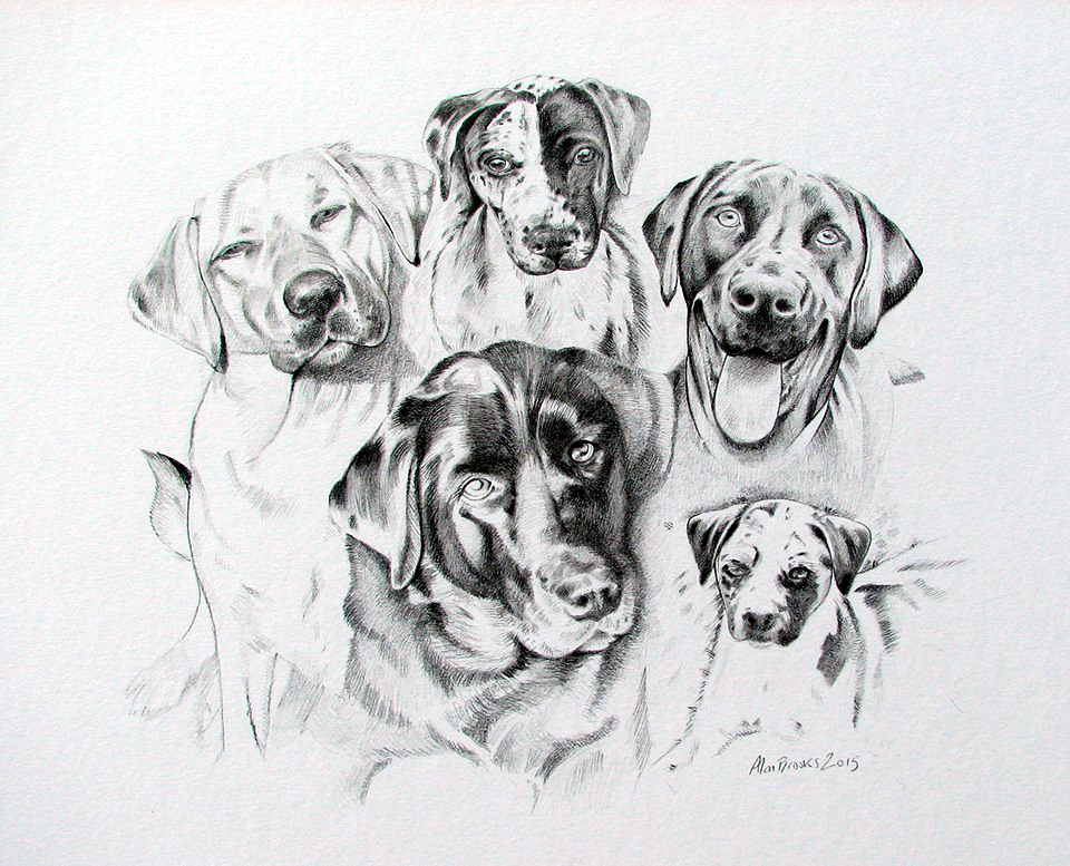 Alan G. Brooks - Pencil drawings and sketches. - Alan G Brooks and Jay ...