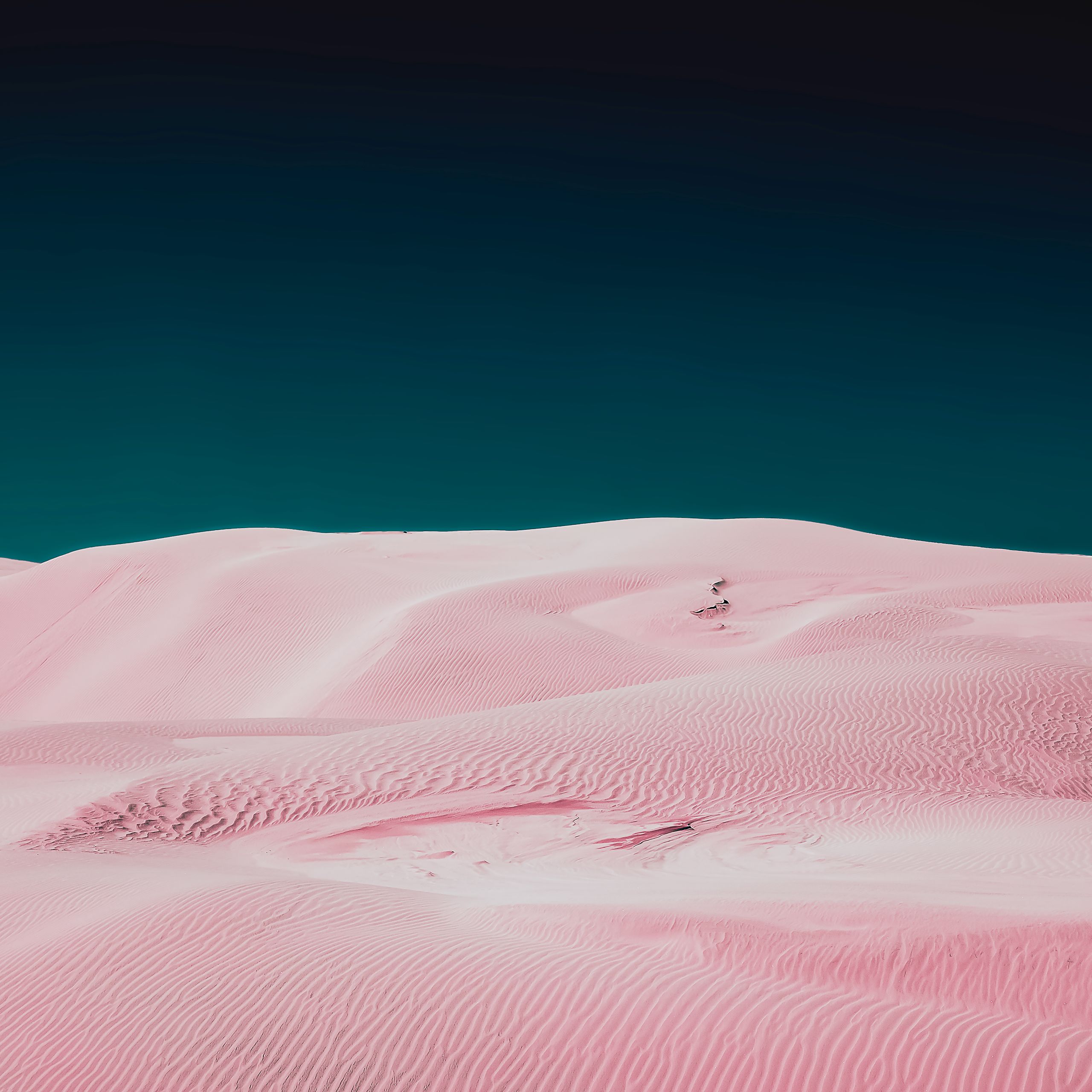 COASTAL DUNES - Kristin Hart Studios