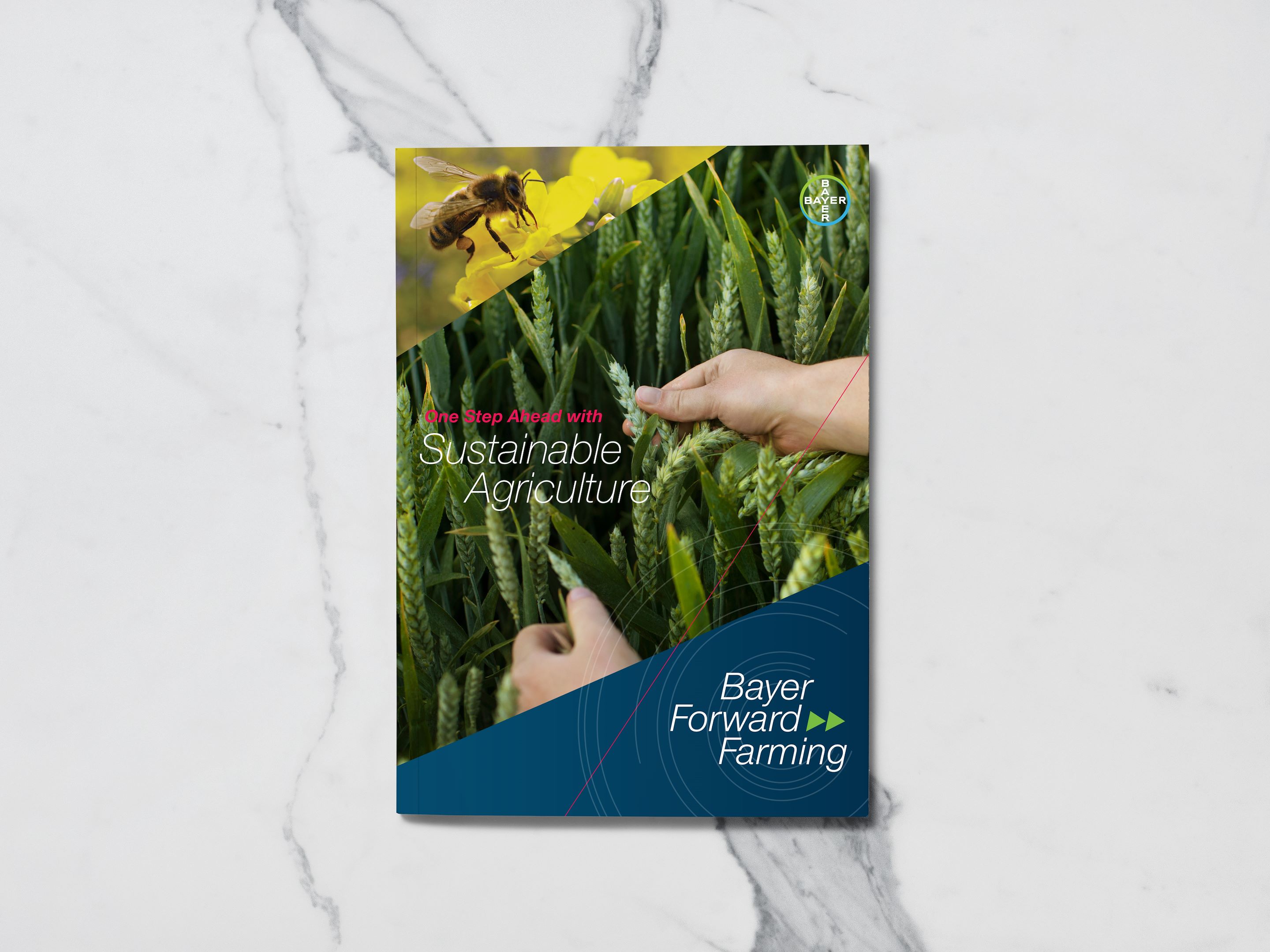 Bayer Forward Farming - Jeff Heaton