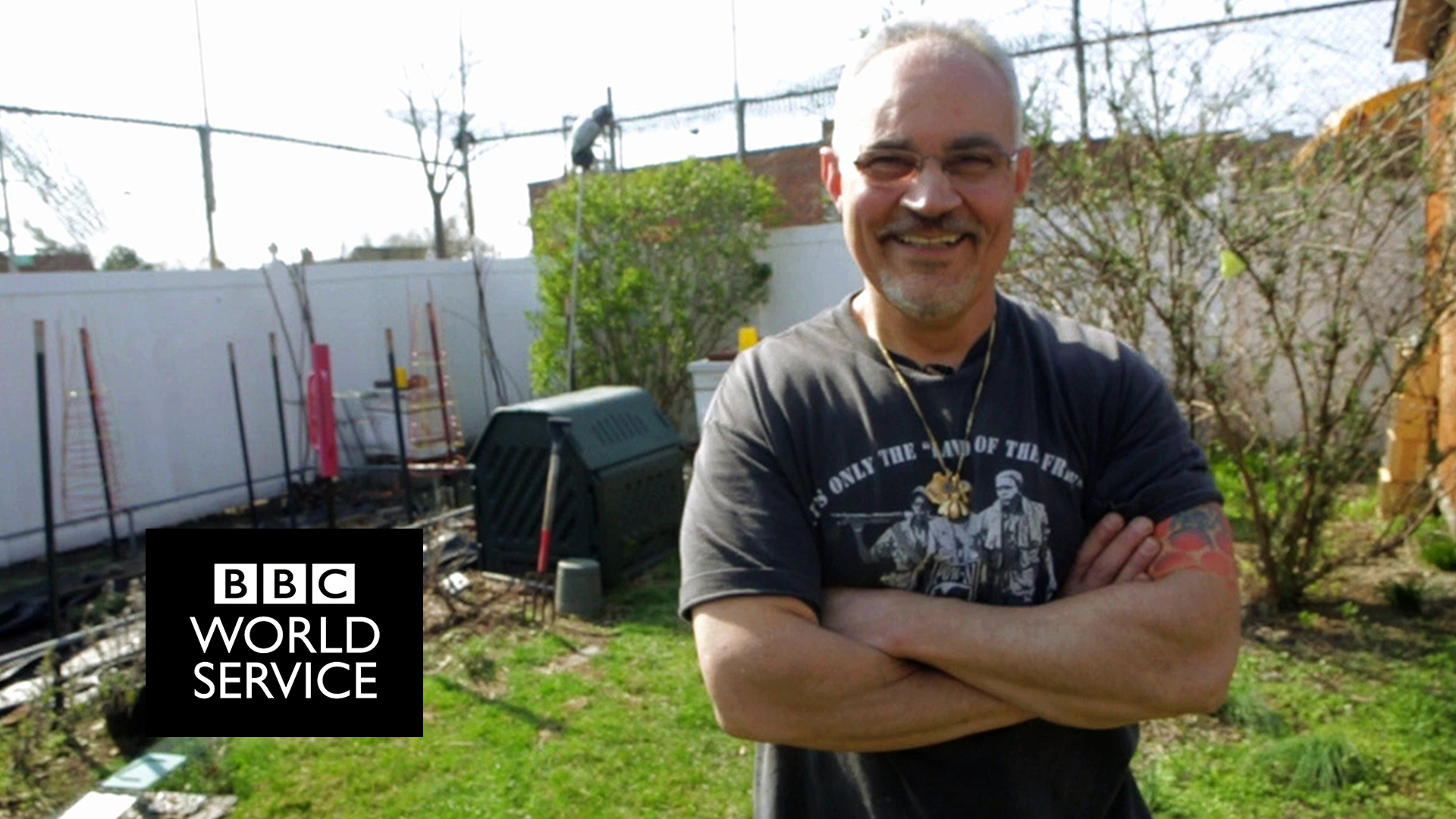 The Beekeeper of the NYPD - Colm Flynn