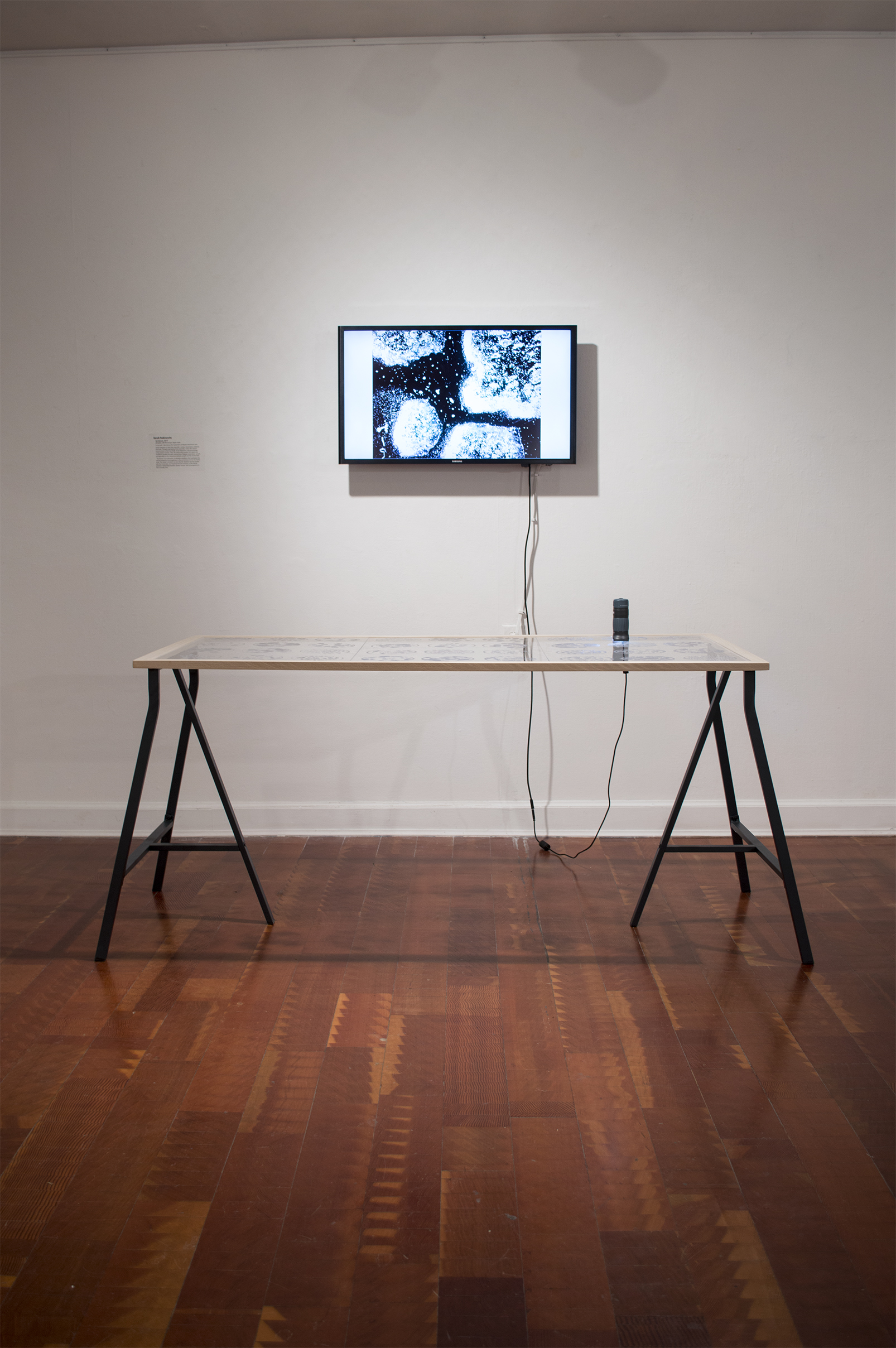 Symbiosis - Sarah Rose Rabinowitz