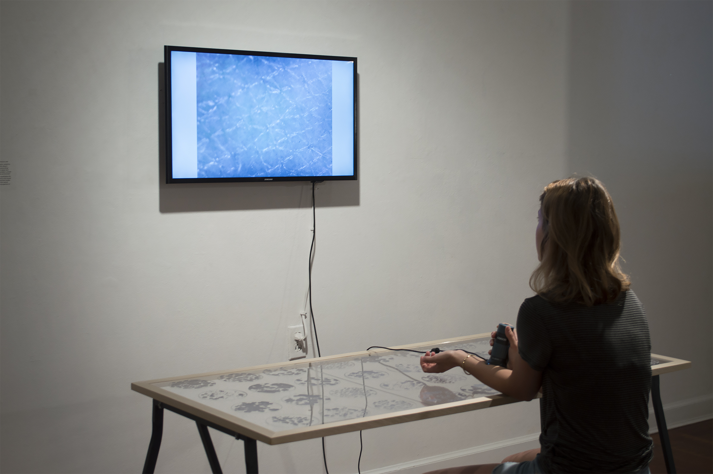 Symbiosis - Sarah Rose Rabinowitz