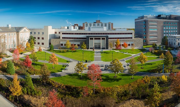 Landscape Design Portfolios - Carbonmade