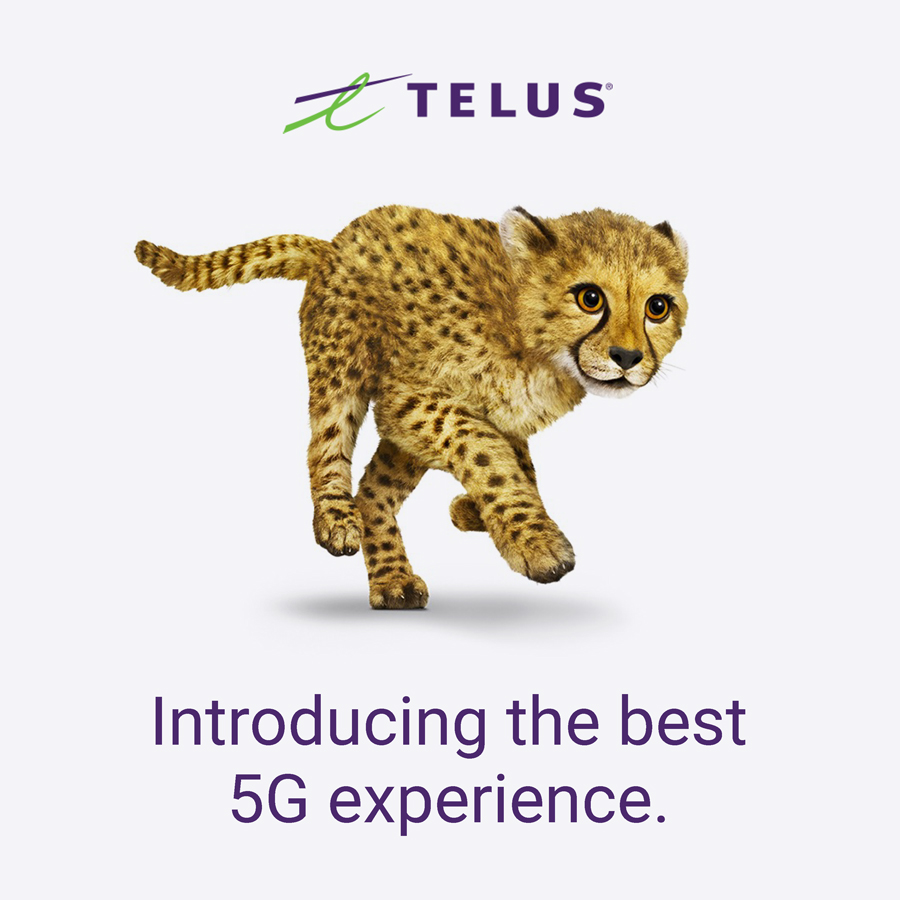 TELUS Email Design System - ANdrew Yeung