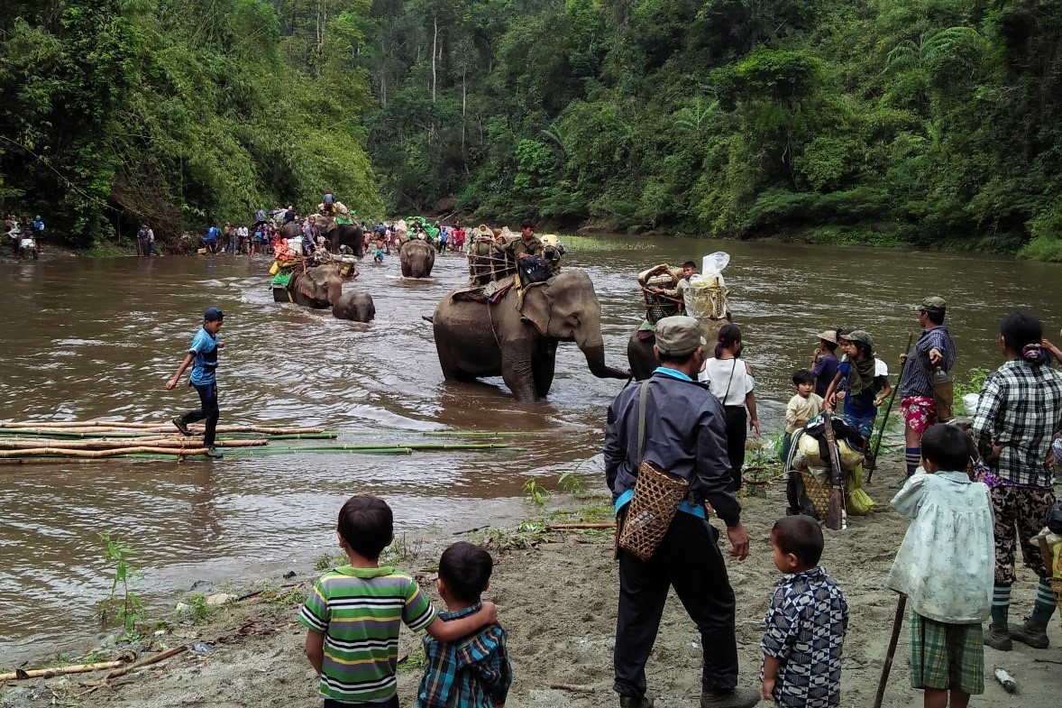 2018-2019. Zomian Elephants - Jacob Shell: Visual Work + Short Essays