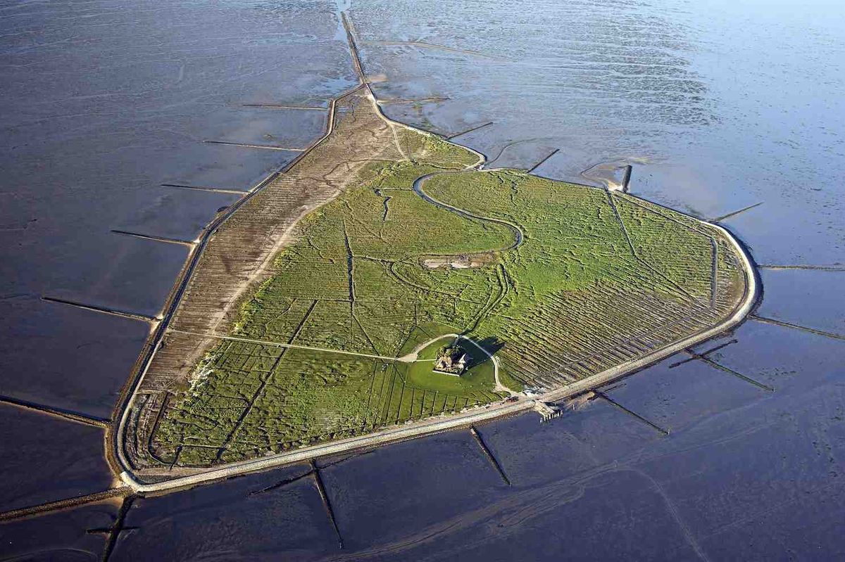 2020. Vadological Wadden Sea - Jacob Shell: Visual Work + Short Essays