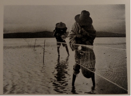 2018-2019. Vadology: Fording across Flooded Land - Jacob Shell: Visual ...