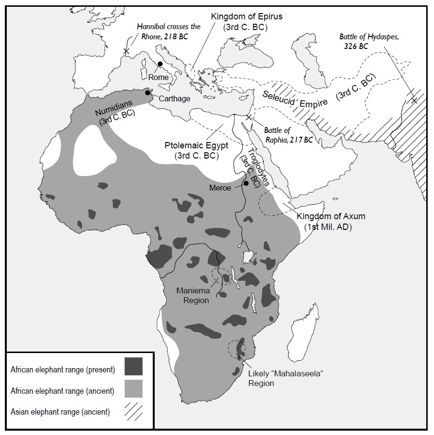 2012-2019. Giants of the Monsoon Forest - Jacob Shell: Visual Work ...