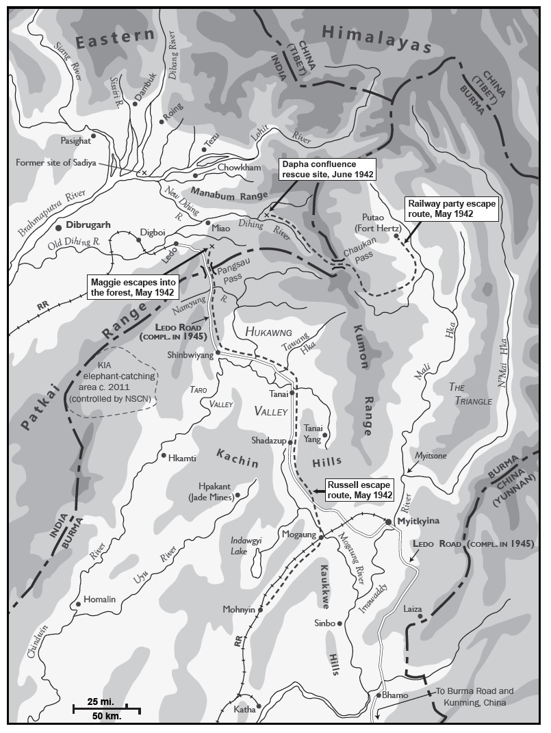 2012-2019. Giants of the Monsoon Forest - Jacob Shell: Visual Work ...