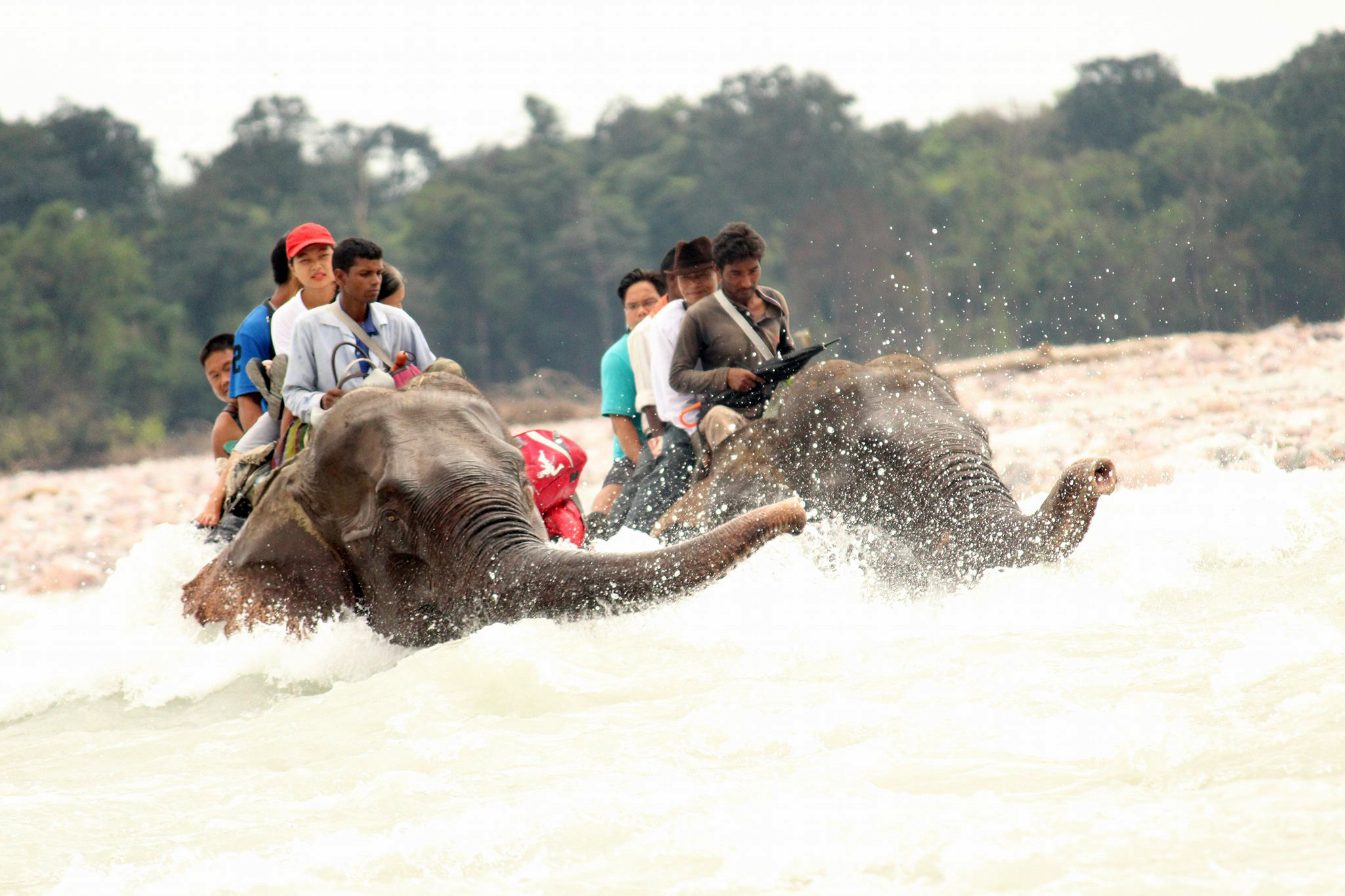 2021. Sadiya Flood - Jacob Shell: Visual Work + Short Essays