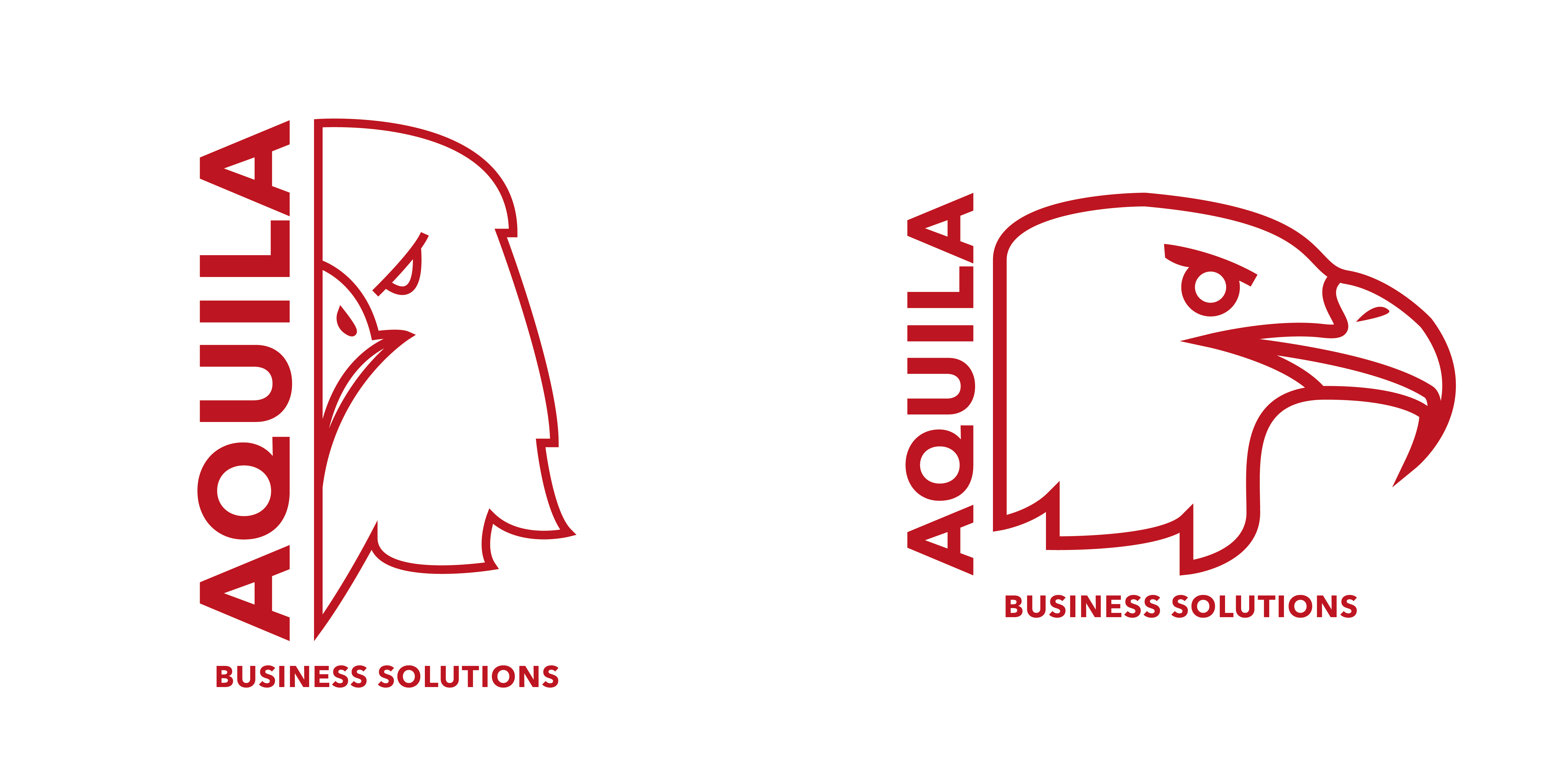 Aquila Business Solution Logo - Austin Pitsch