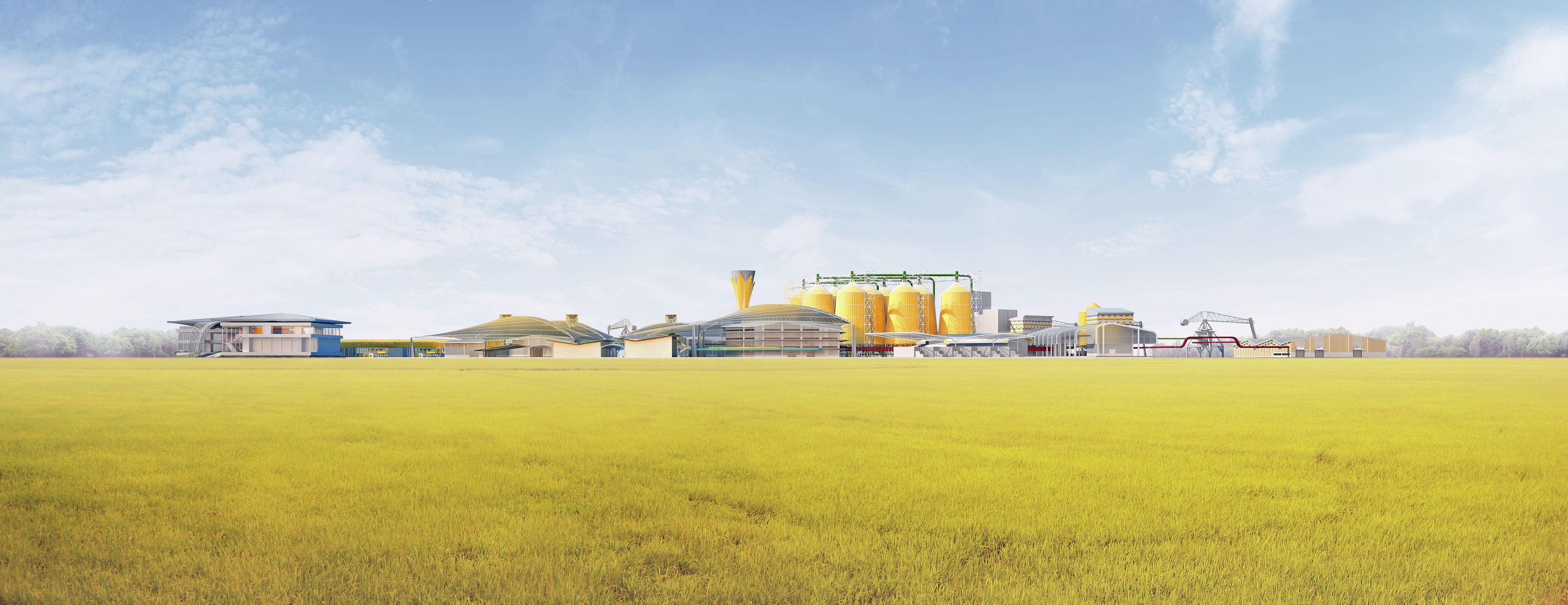 VONG DONG - alex (BVD) nguyen