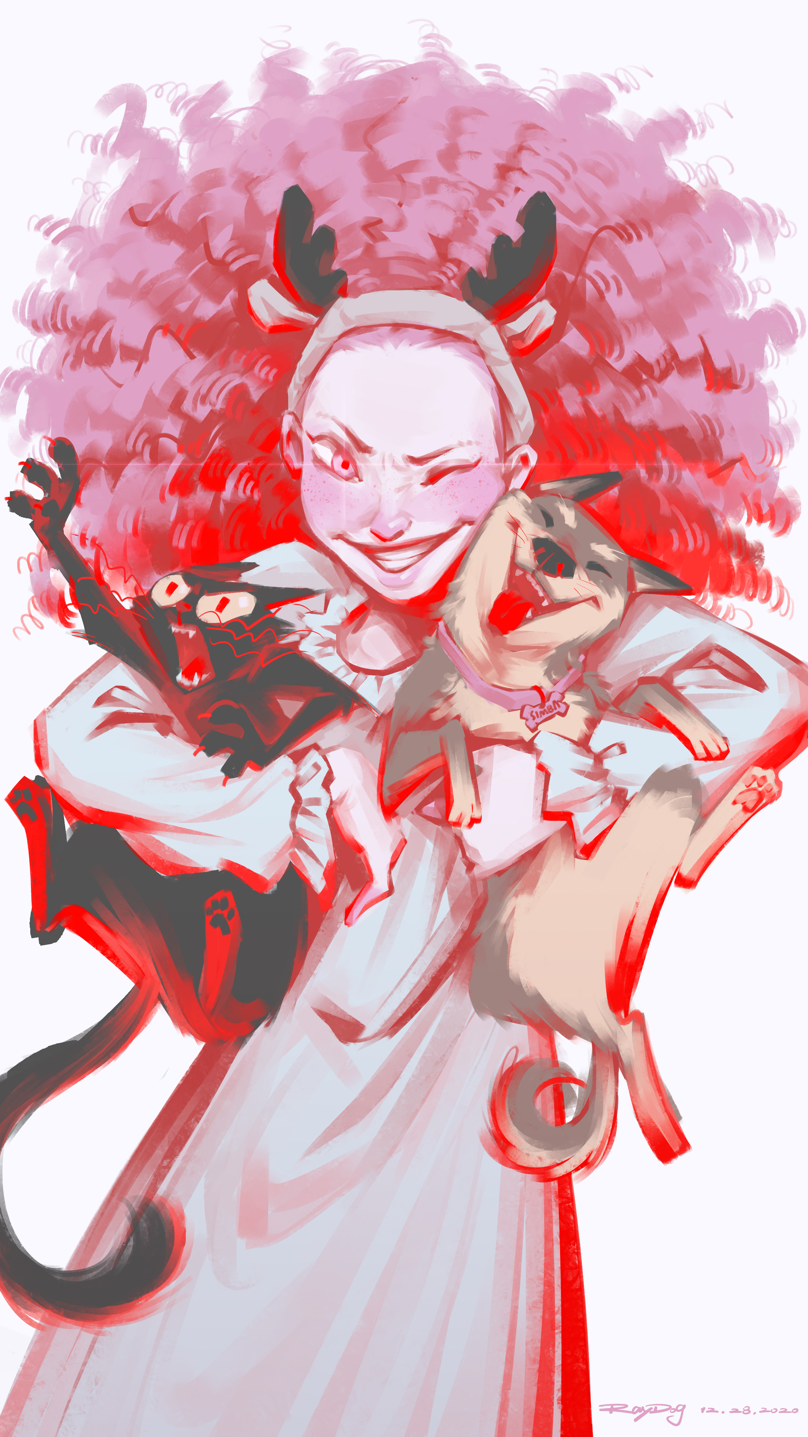 Illustrations - Ray Lei