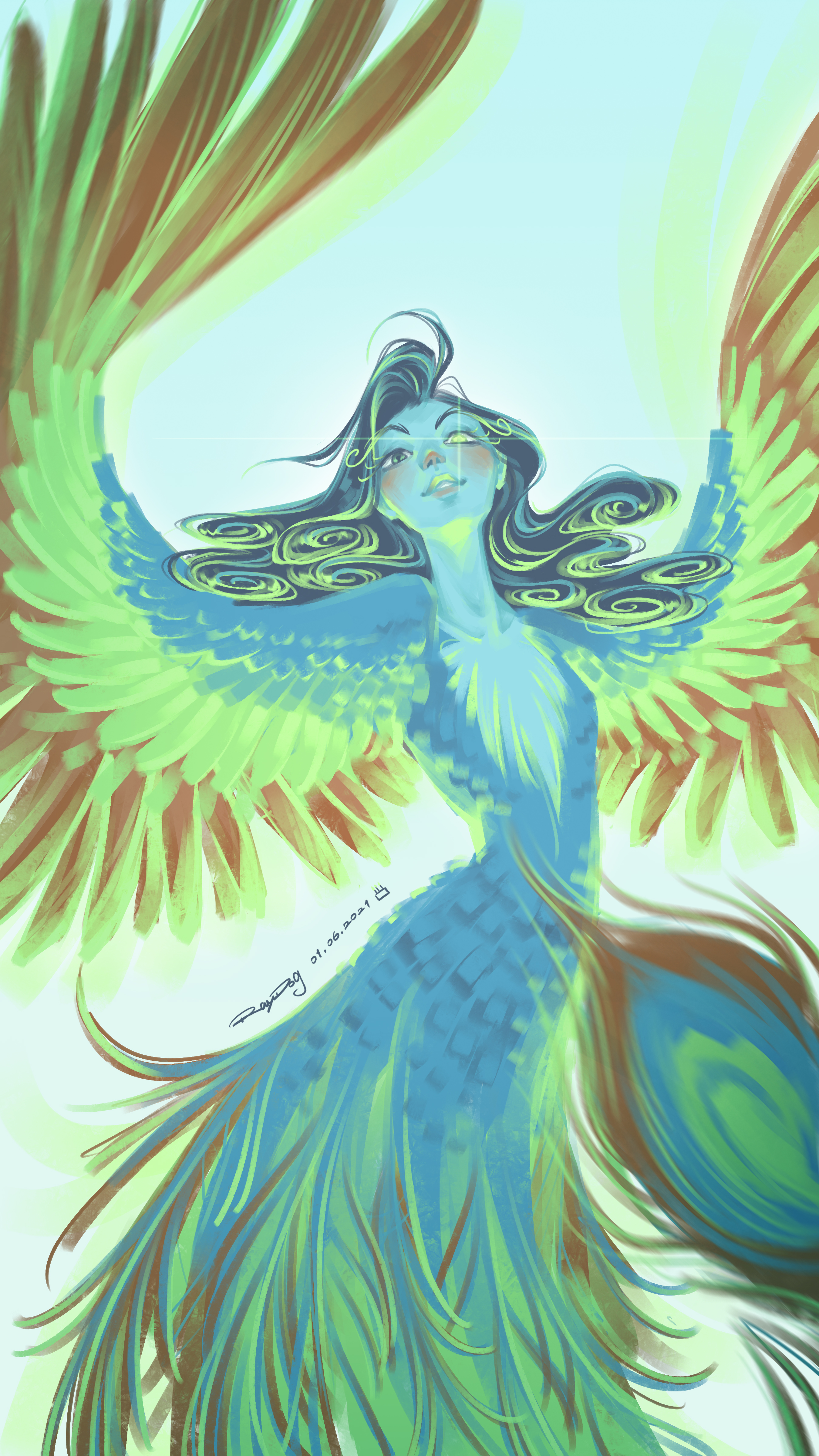 Illustrations - Ray Lei