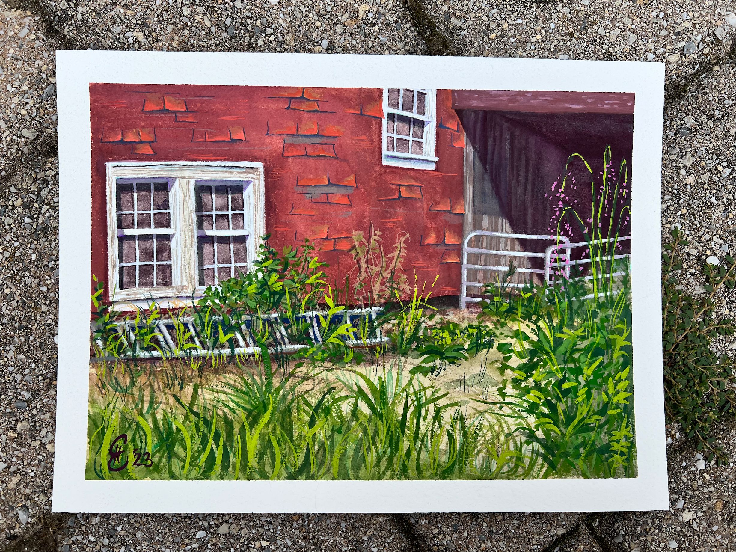 emily hatton illustration