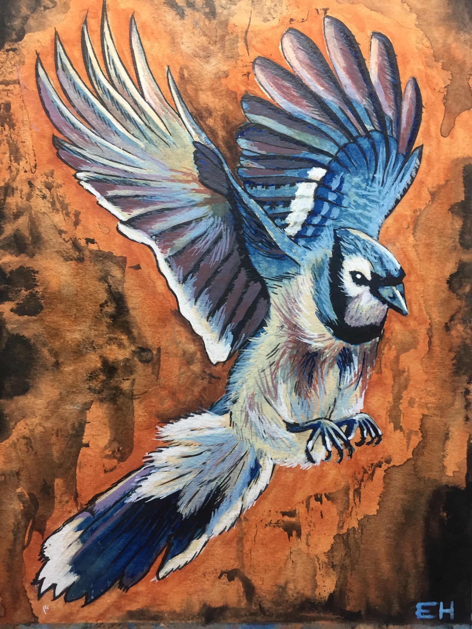 emily hatton illustration