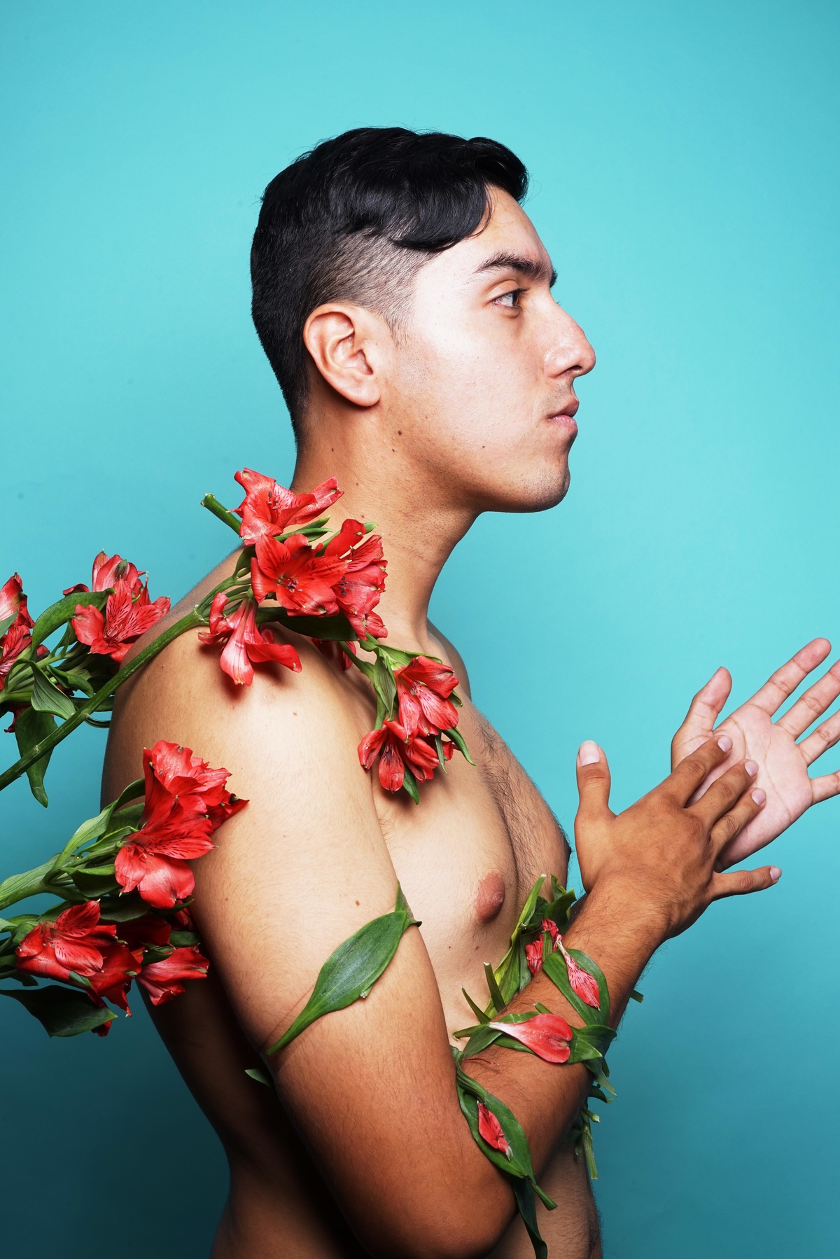 PLANT PORTRAITS