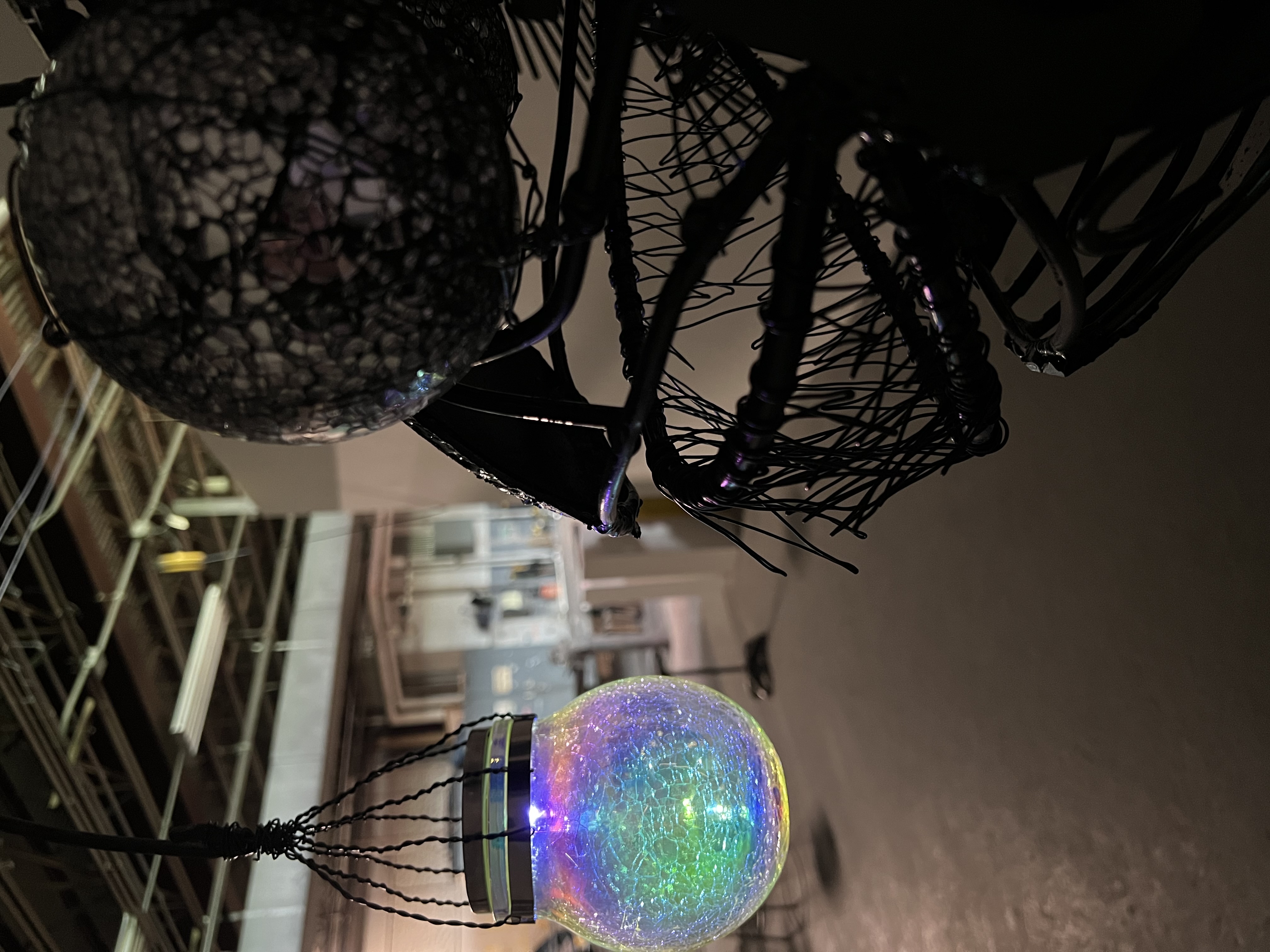 Reflection on Nature - Lilly Adkins