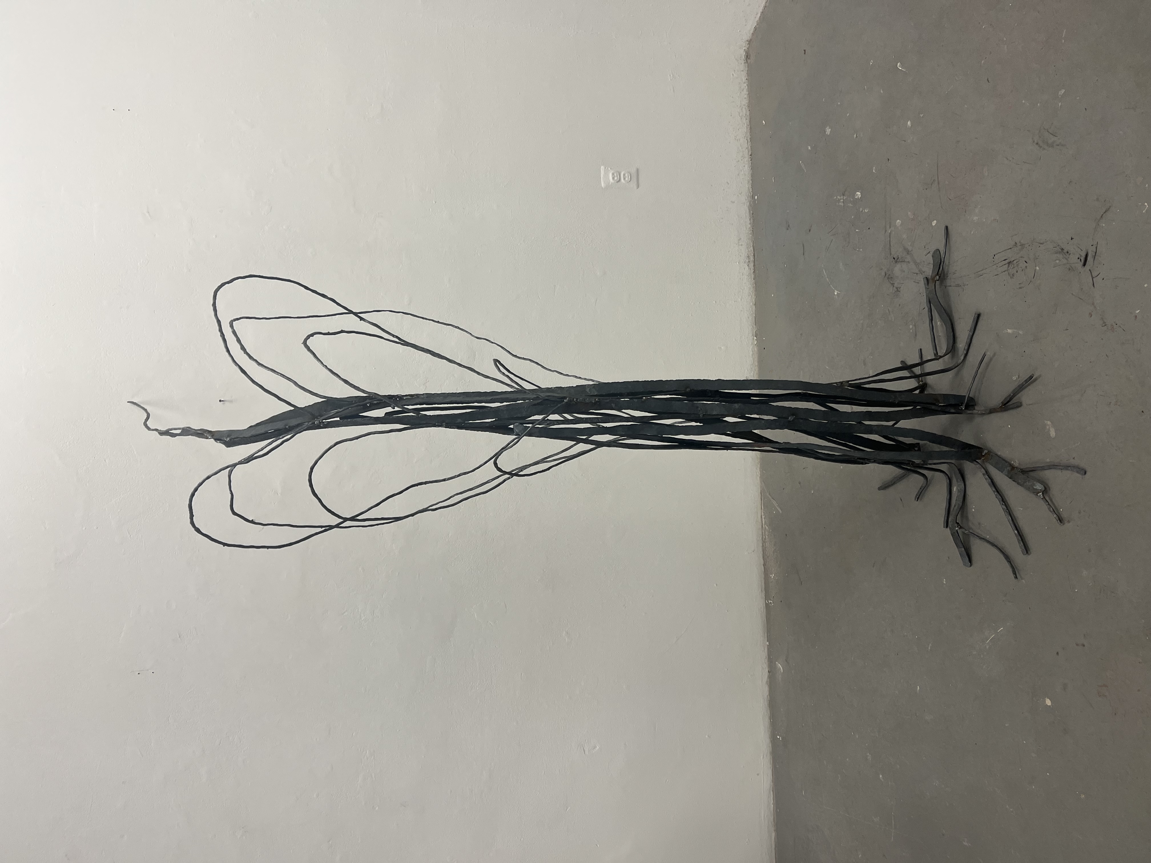 Reflection on Nature - Lilly Adkins