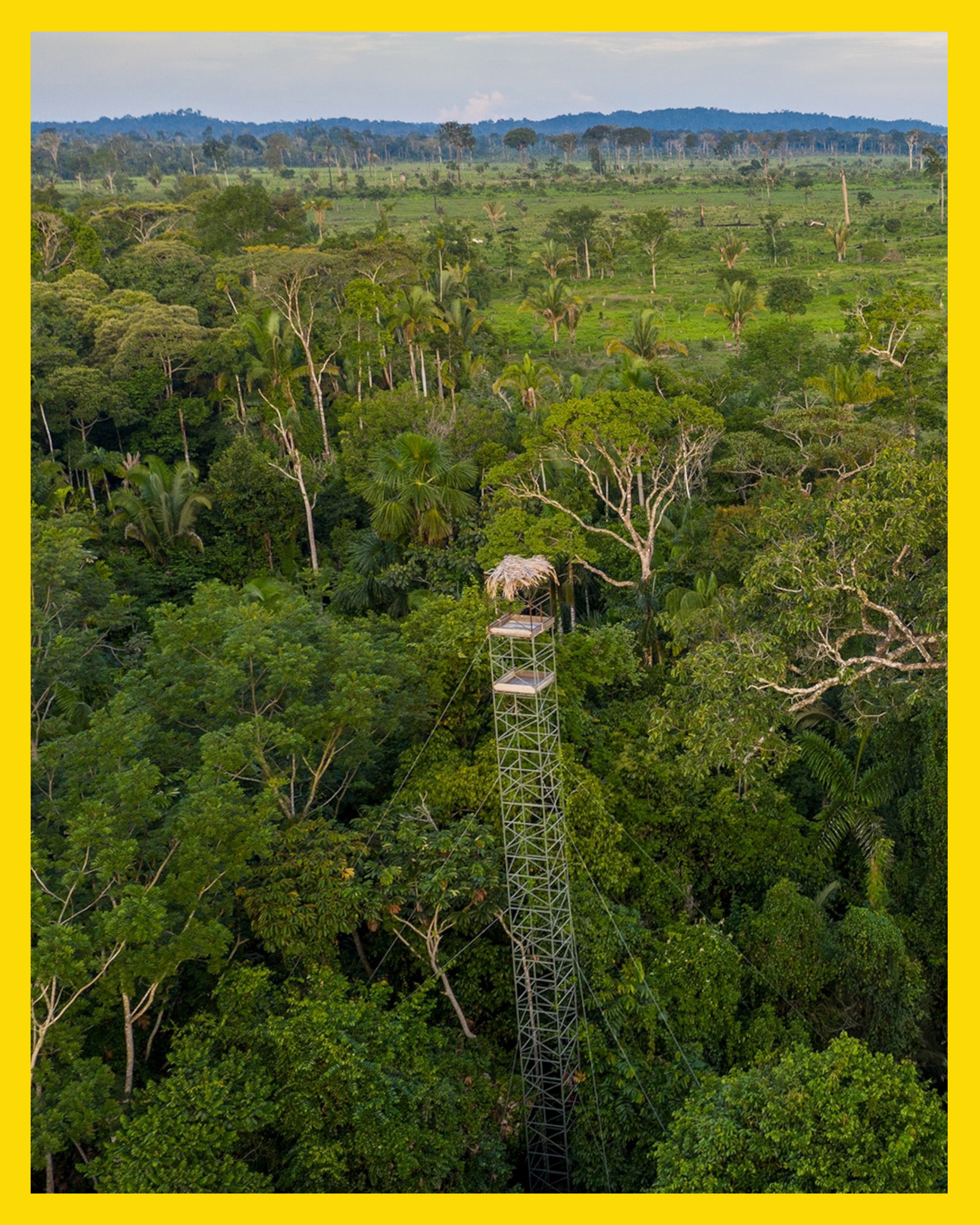 National Geographic - Jo Chelar Design