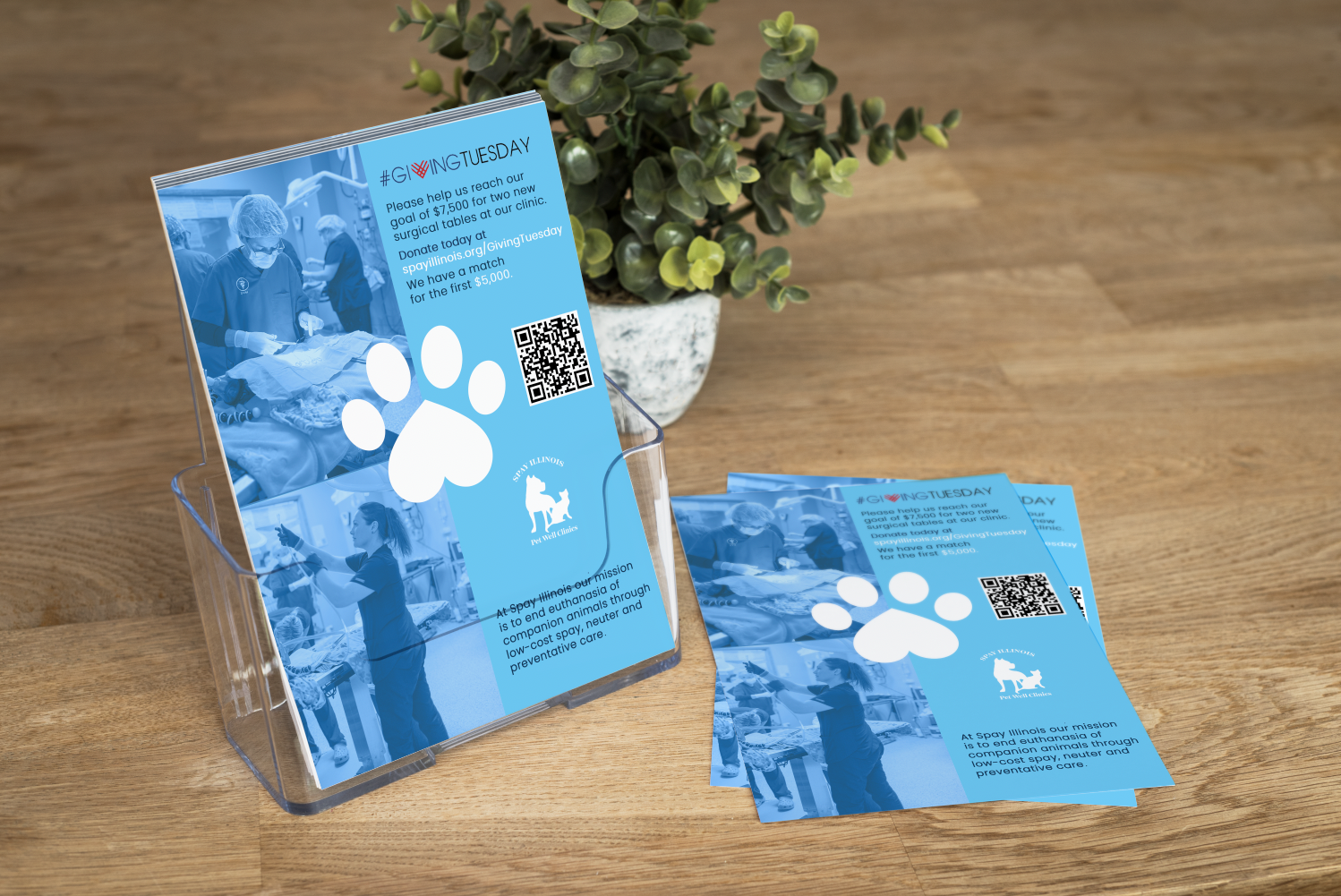 Posters/Flyers - Alexandra Marie