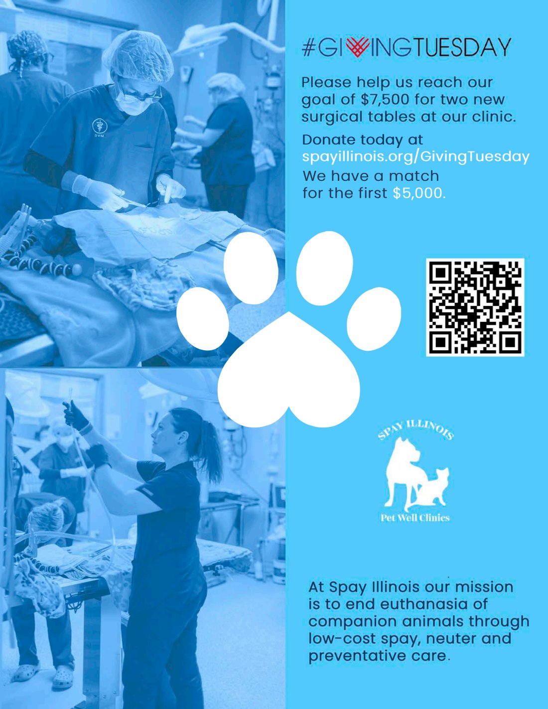 Posters/Flyers - Alexandra Marie
