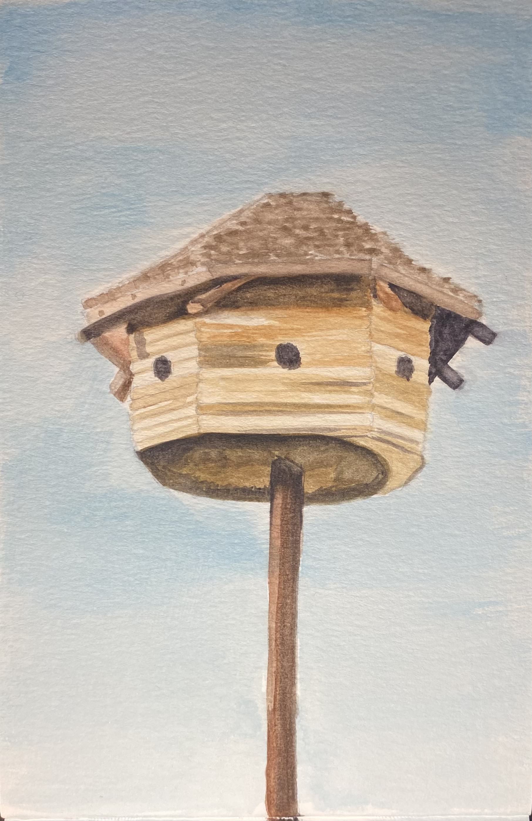 Illustrations - Emily Rea